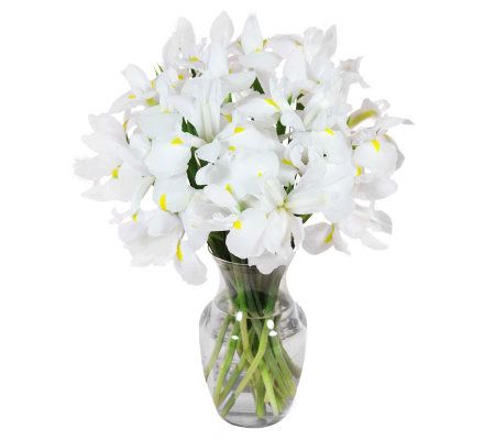 20 White Iris with Vase by ProFlowers - QVC.com