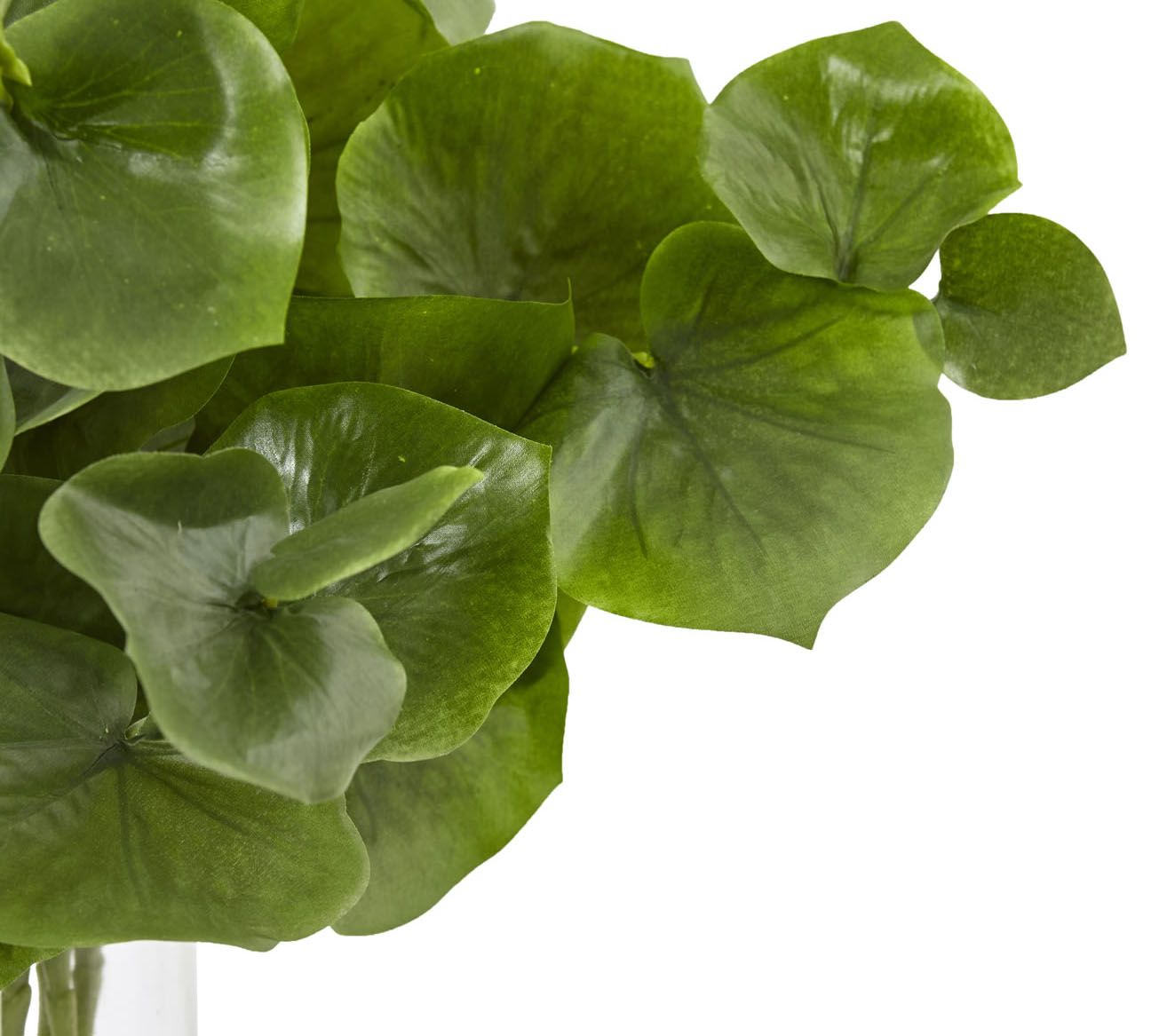 Lotus Branch Arrangement by Nearly Natural - QVC.com