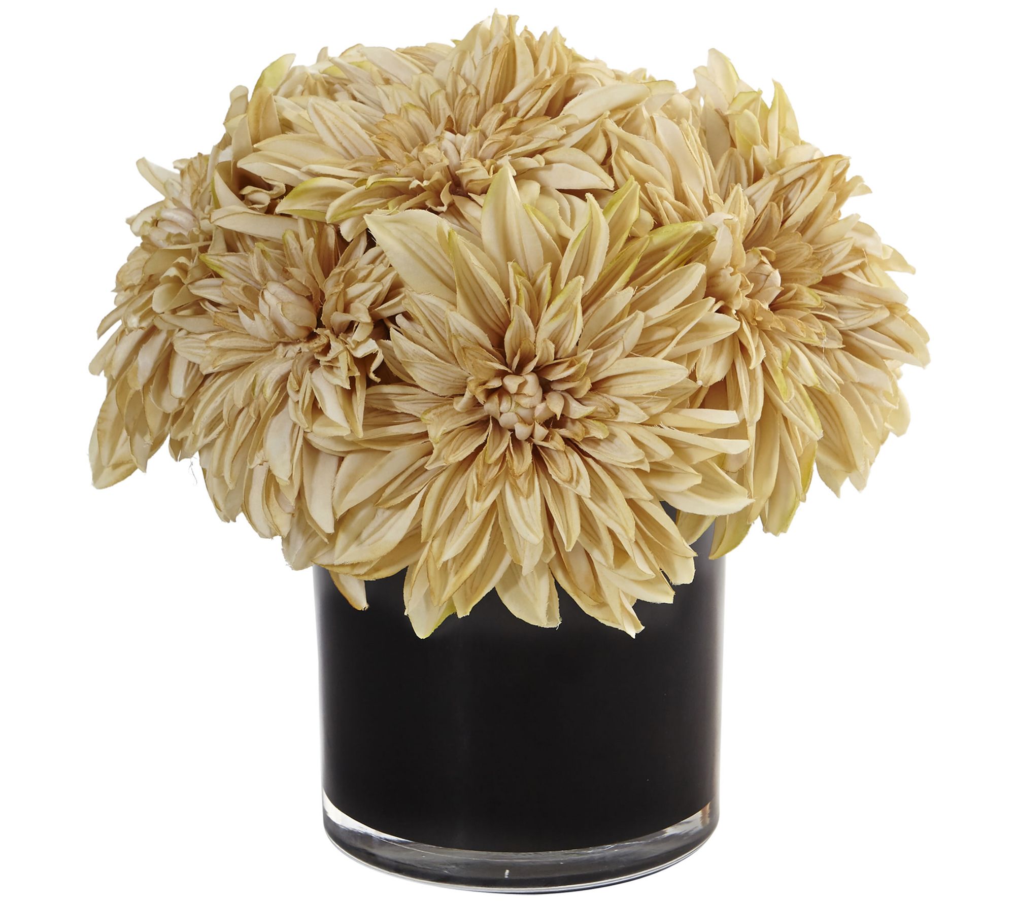 11" Dahlia Mum in Black Glossy Cylinder by Nearly Natural - QVC.com