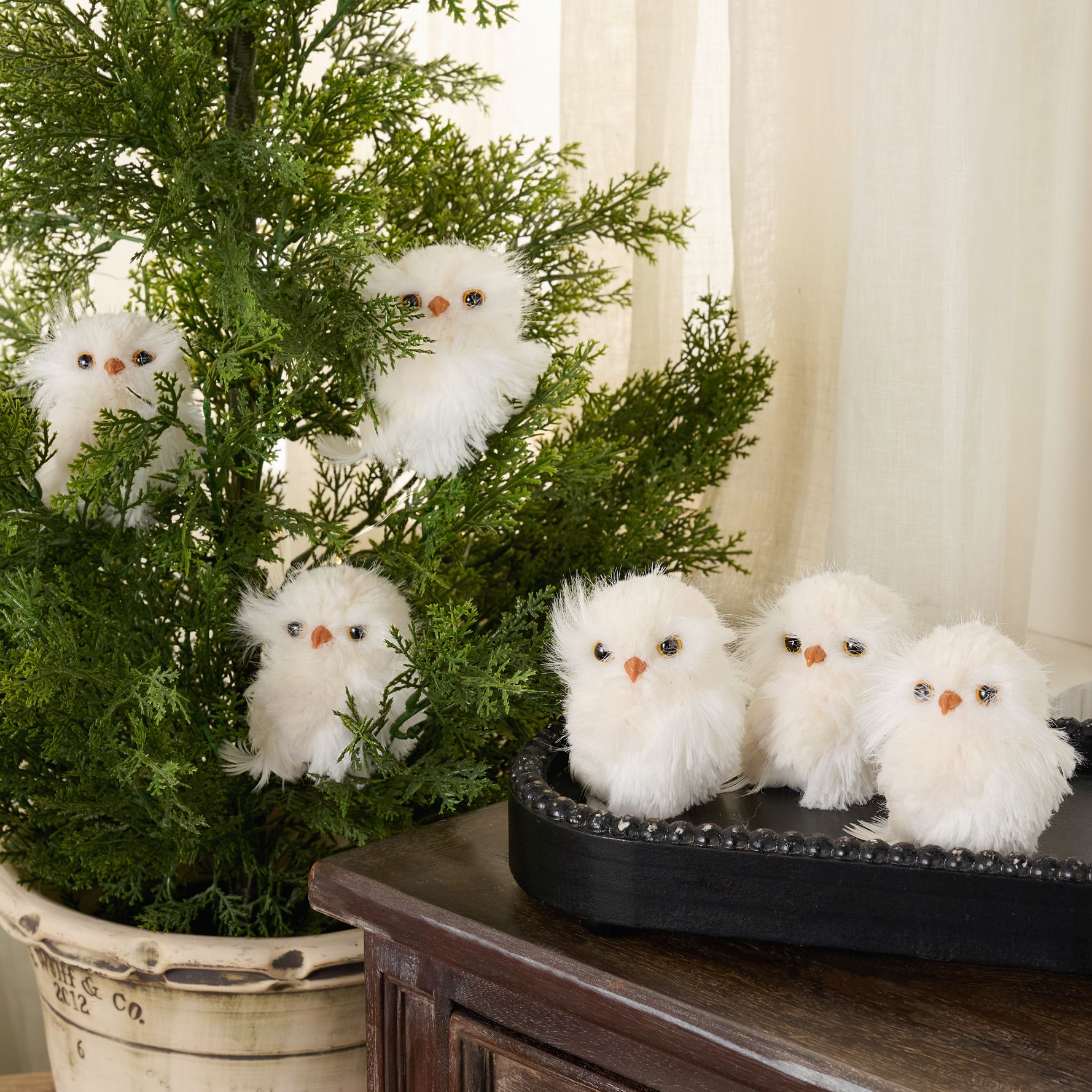 Set of 6 Feathered Owl Clips by Valerie - QVC.com