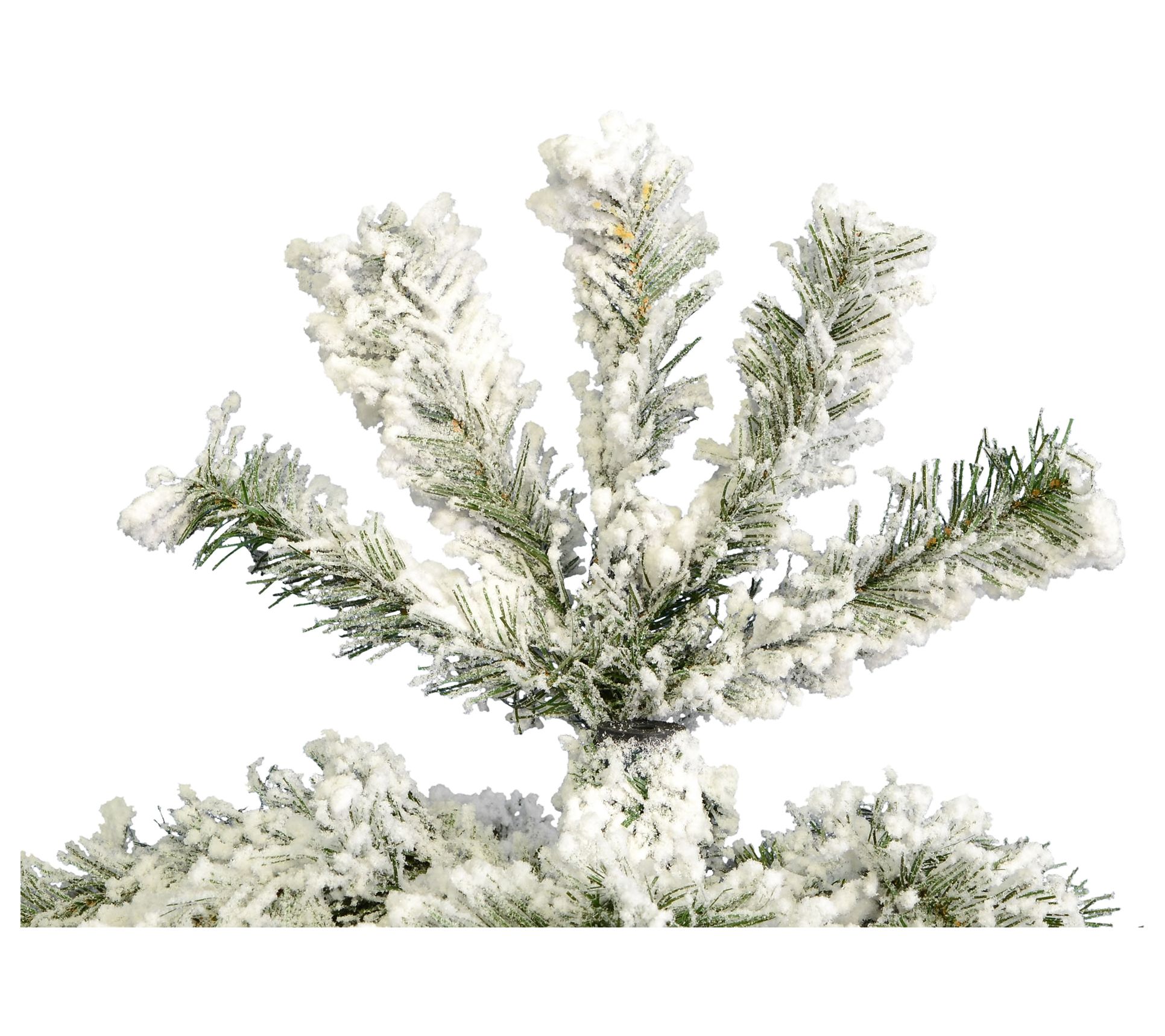 Vickerman 7.5' Flocked Pacific Artificial Chris tmas Tree - QVC.com