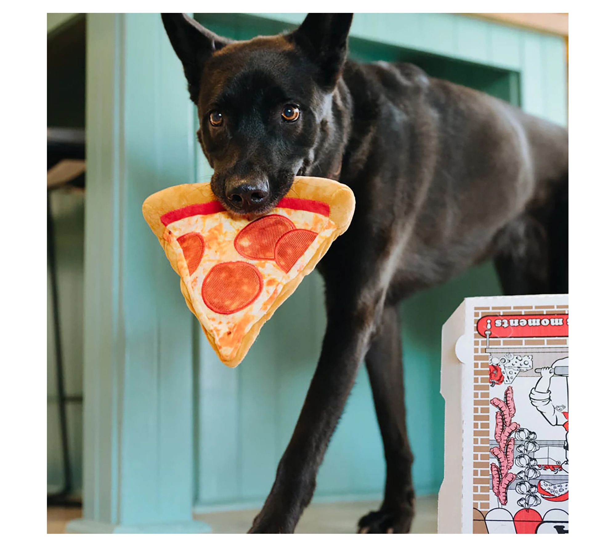 P.L.A.Y. Snack Attack Collection - 5pc Plush Dog Toys - QVC.com