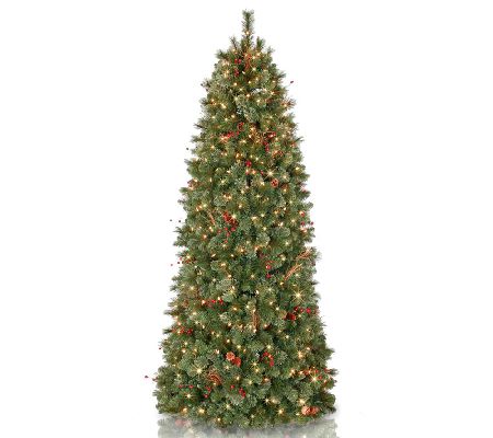 Balsam Hill Flocked Woodland Pine 6.5' Instant Evergreen Tree - QVC.com
