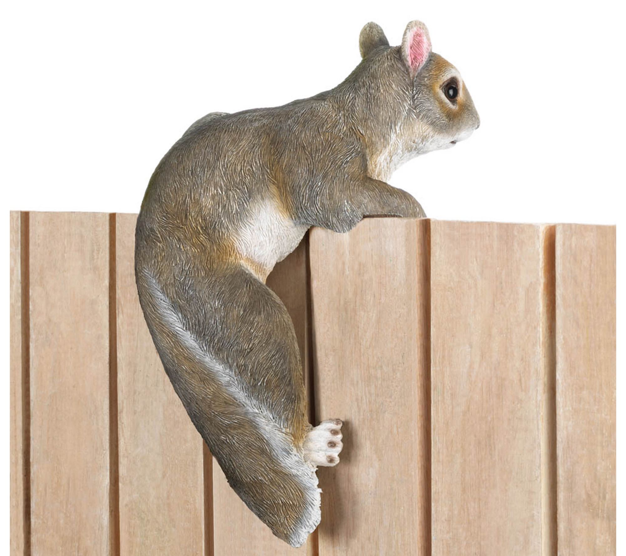 Zingz & Thingz Climbing Chip Squirrel Garden Fi gurine - QVC.com