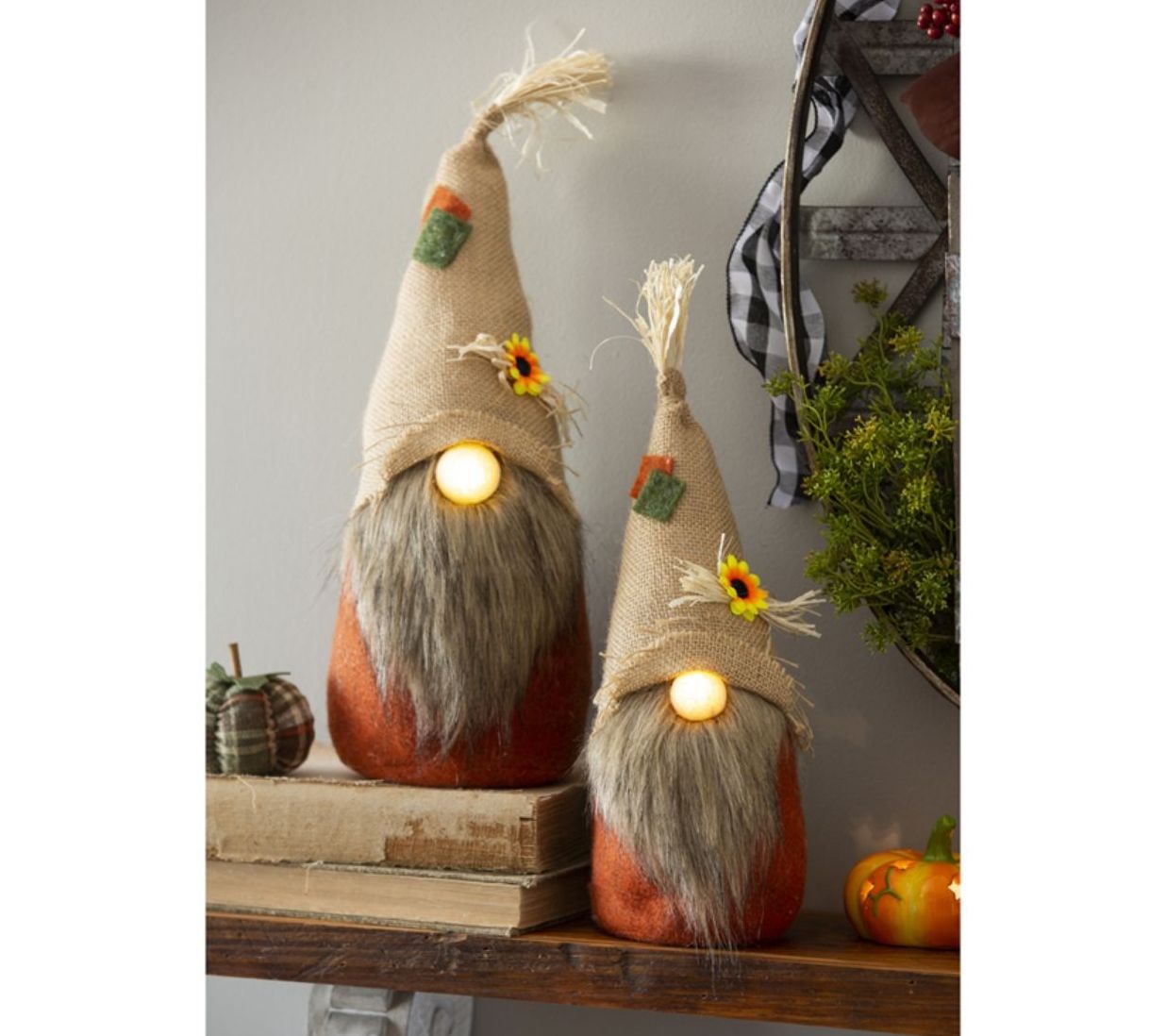 Evergreen Set of 2 LED Plush Gnomes - QVC.com