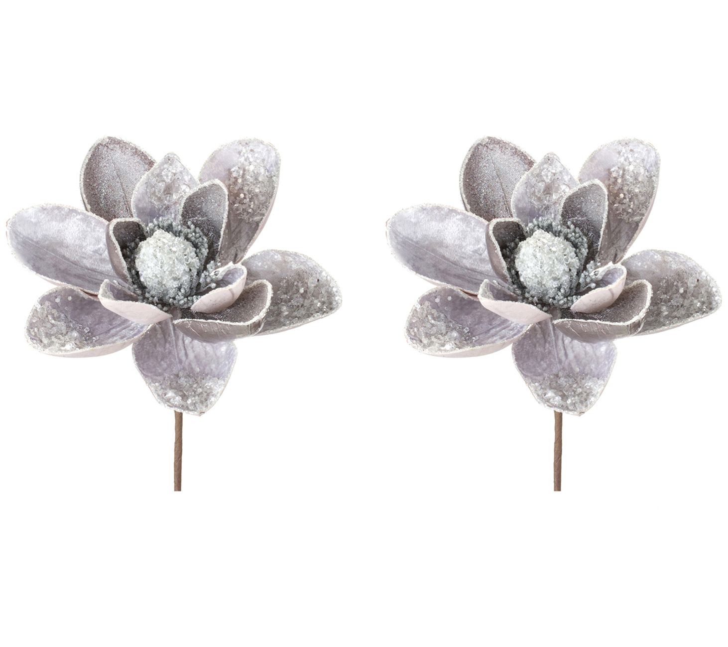 Melrose Glittered Magnolia Flower Stem (Set of) - QVC.com