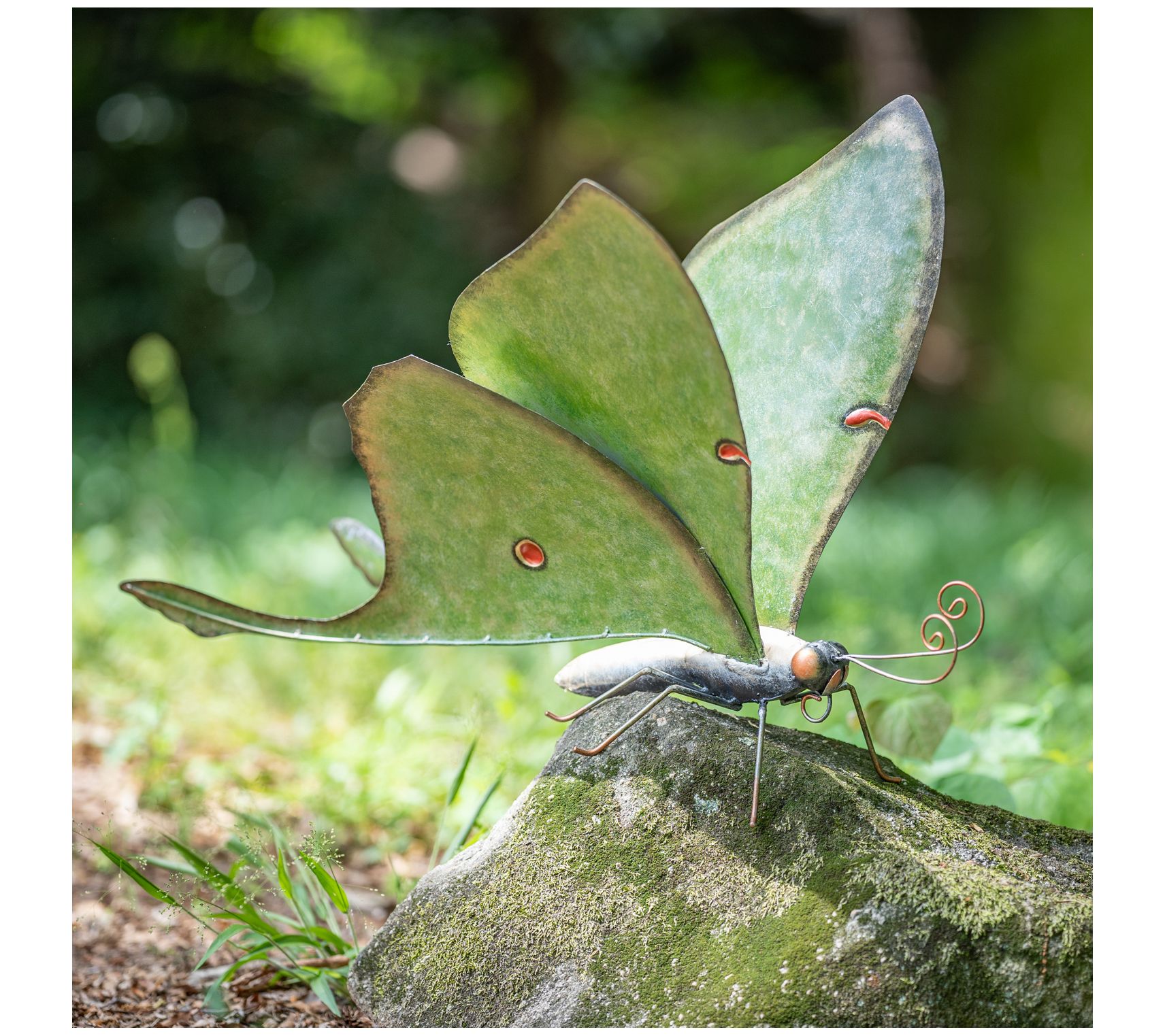 Evergreen Metal Luna Moth Statue - QVC.com