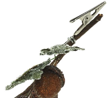 "As Is" Set of 6 Beaded Acorn Clips - QVC.com
