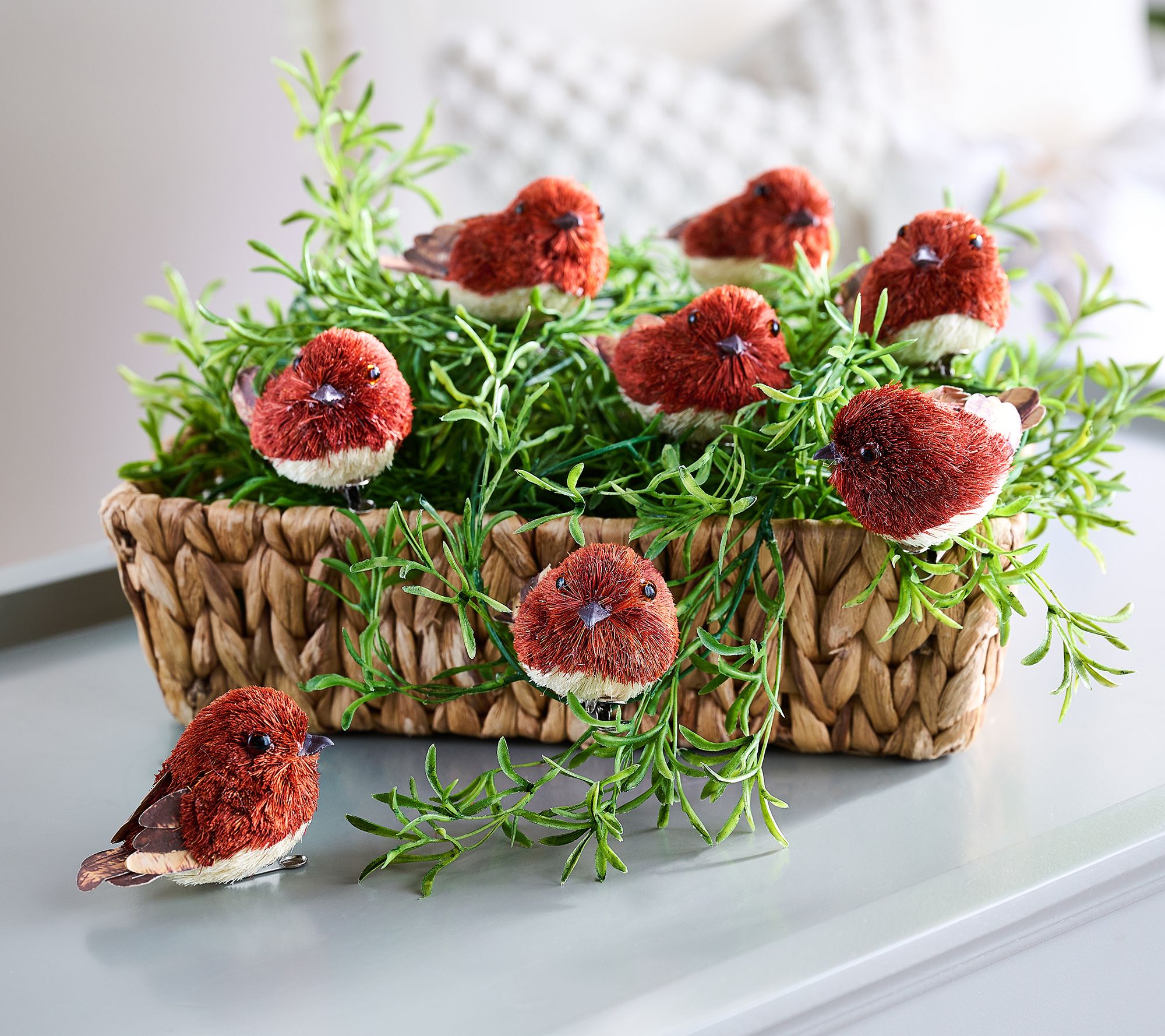 "As Is" Set of 8 Harvest Sisal Bird Clips by Valerie - QVC.com