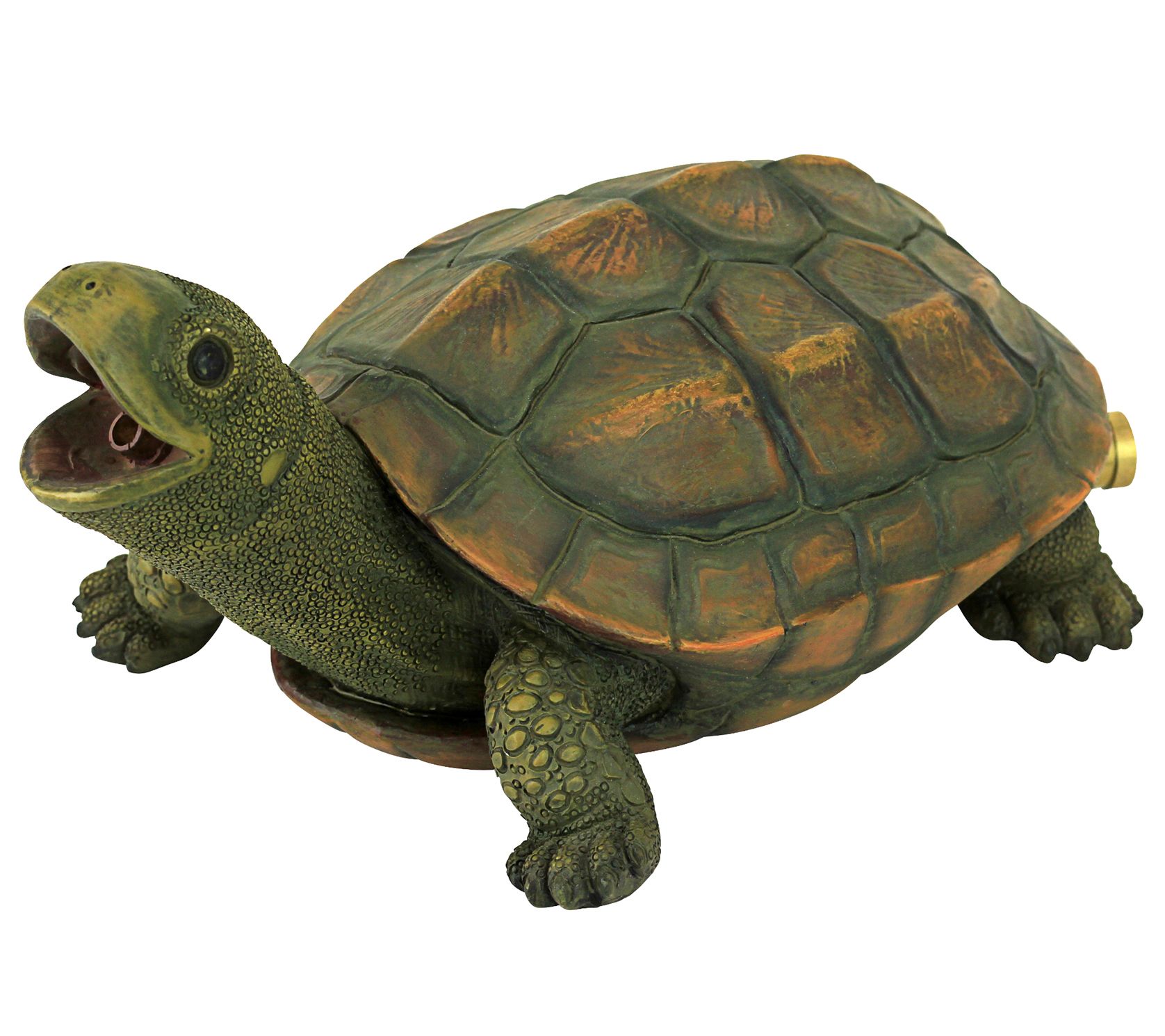 Design Toscano Sprinkle The Turtle Piped Spitter Statue - QVC.com