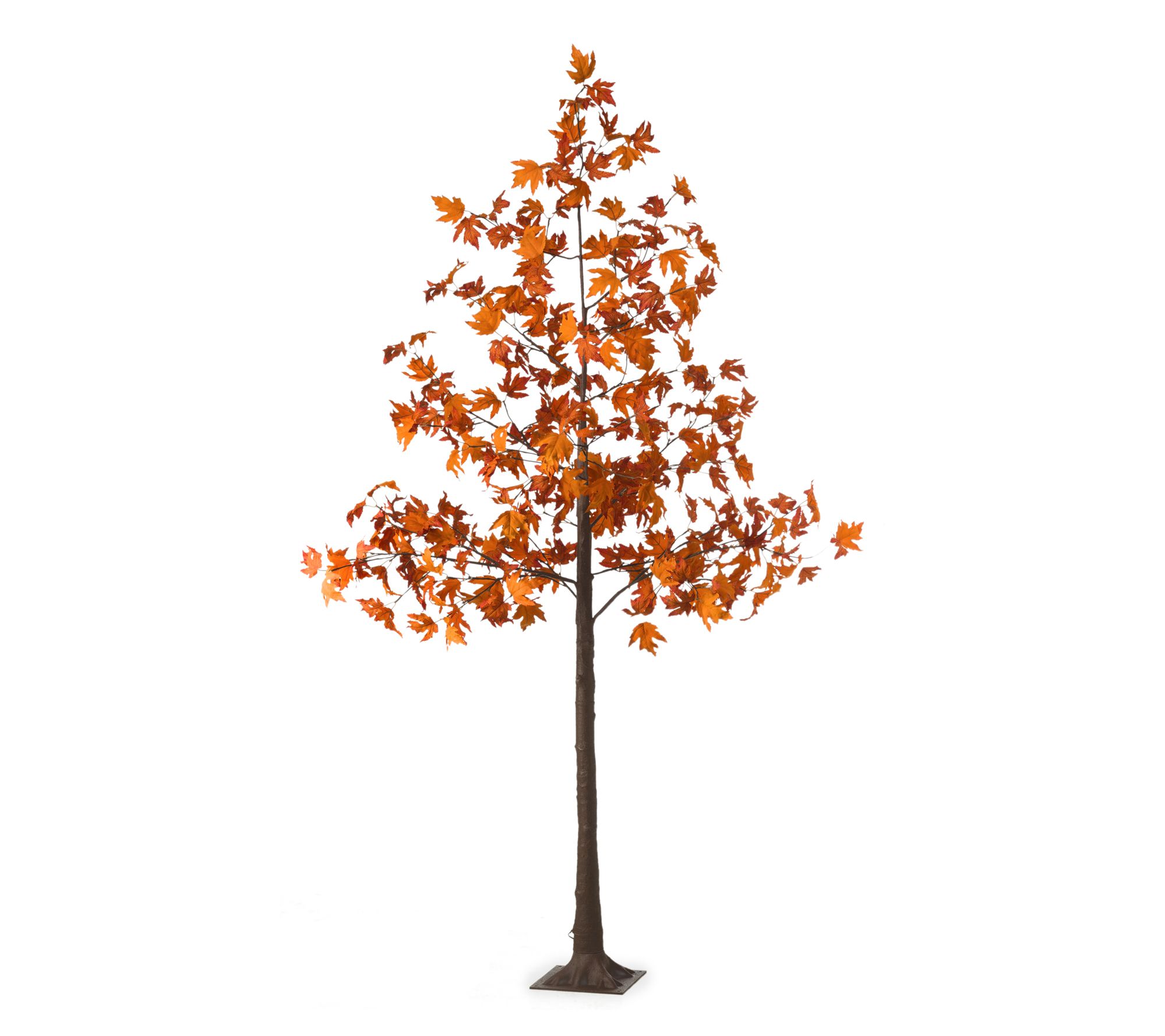 Evergreen Electric Lighted Maple Tree, 8'H w/ 168 Lights - QVC.com