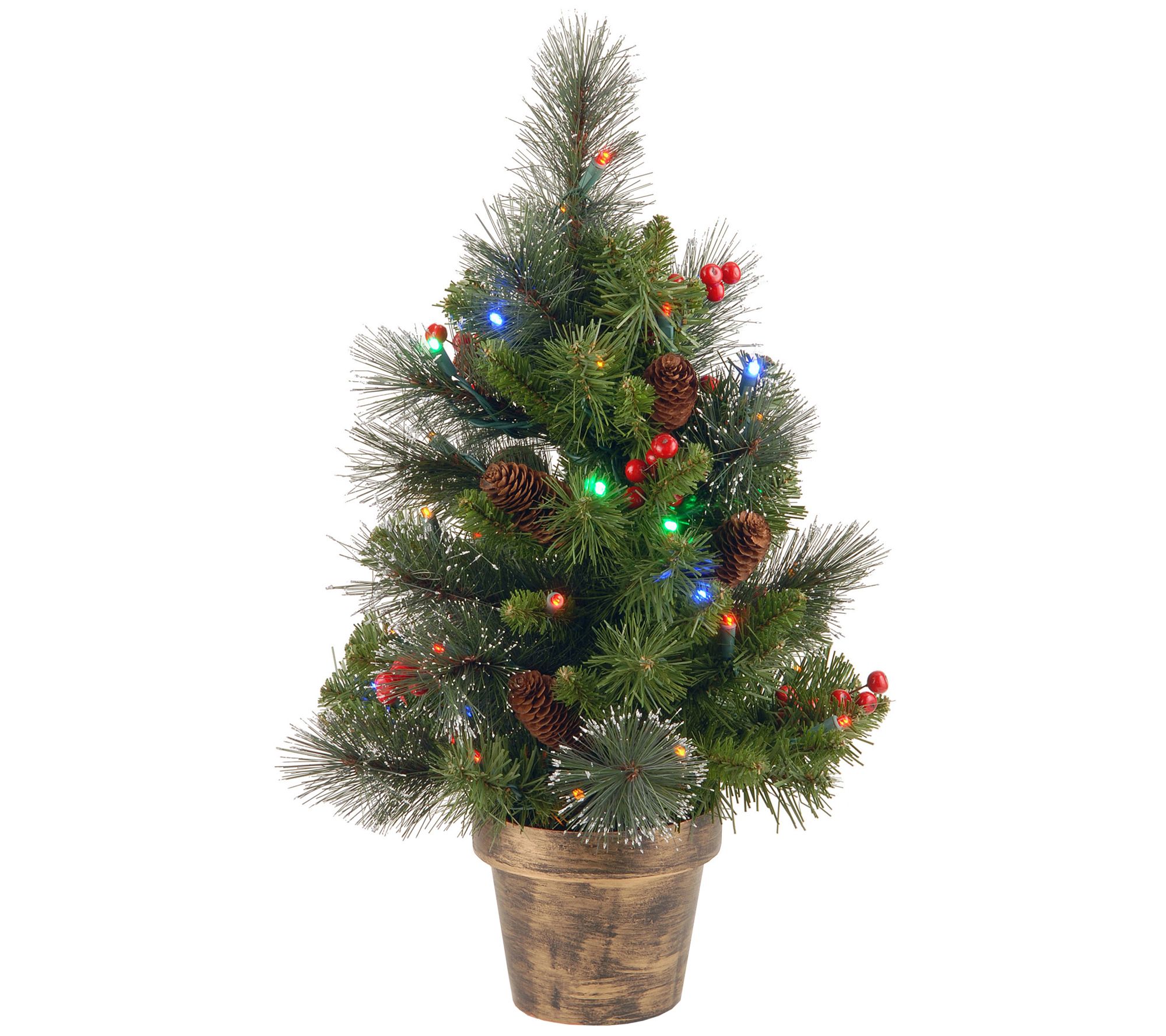 National Tree Company Batt. Op. 2' Spruce w/ Multi Lights - QVC.com