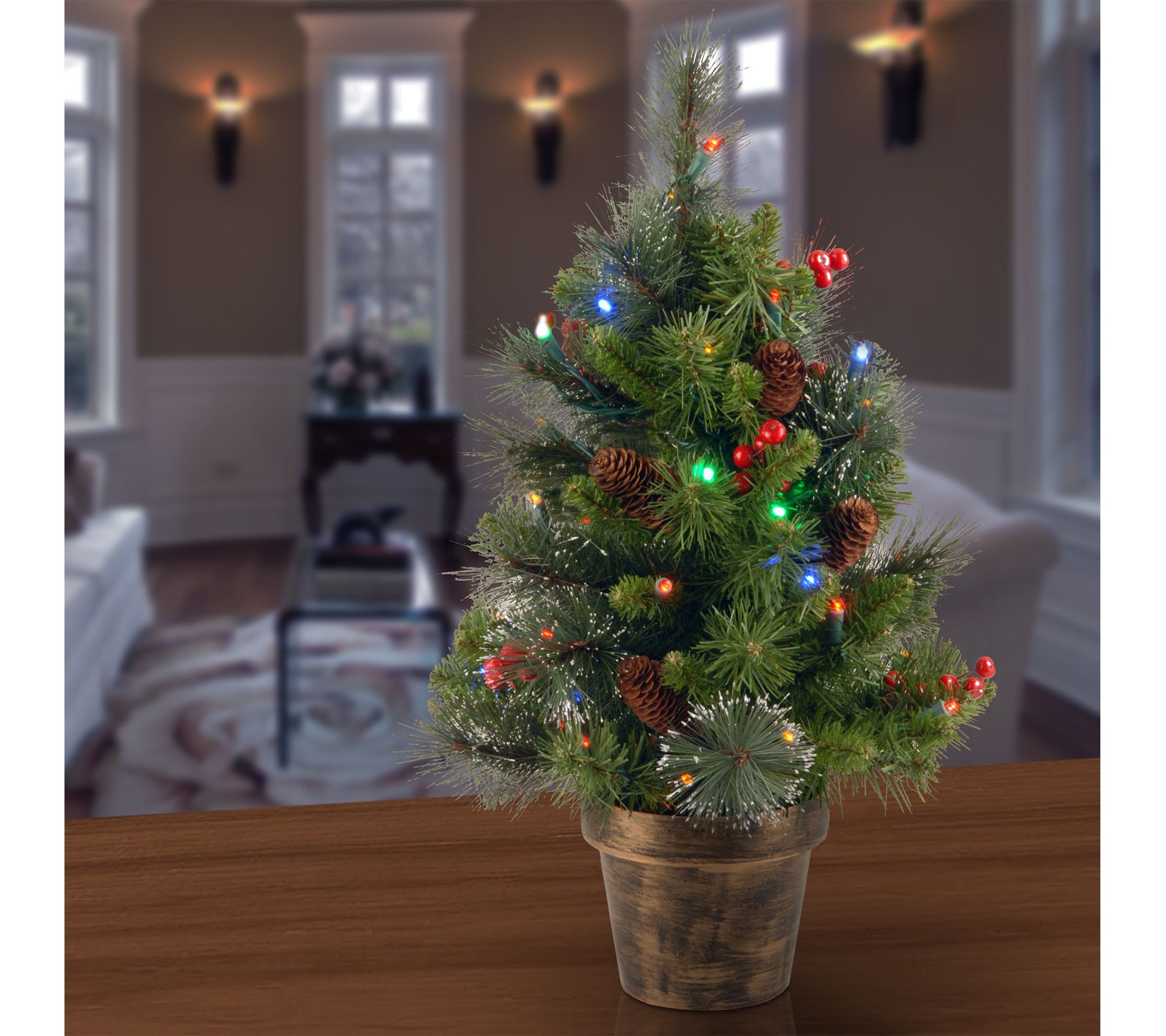 National Tree Company Batt. Op. 2' Spruce w/ Multi Lights - QVC.com