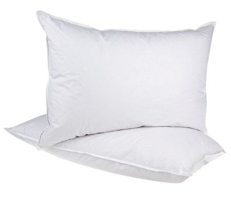 Northern Nights Set of 2 230TC 550 Fill Power Standard Down Pillows ...