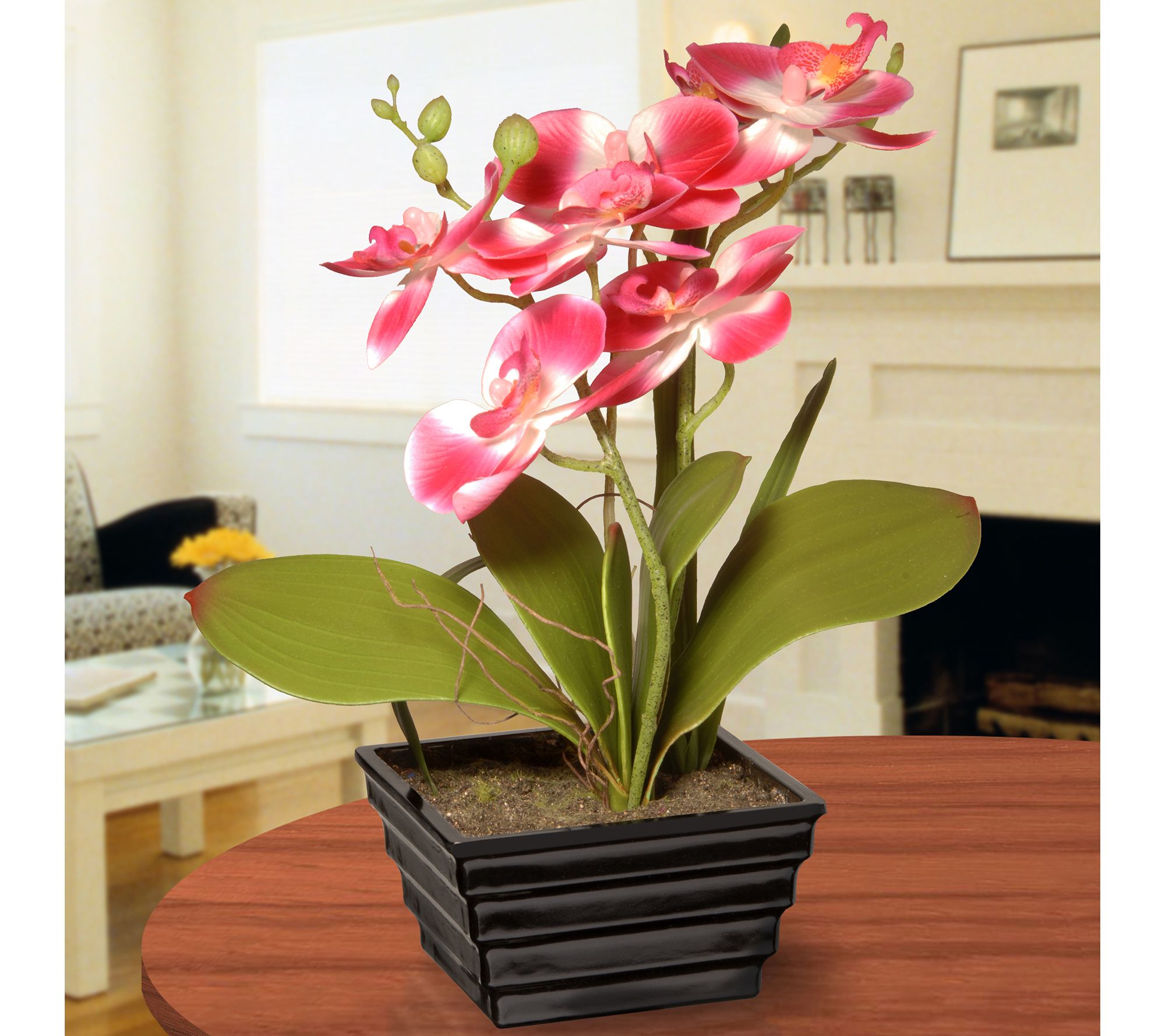 National Tree Company 12" Pink Orchid Flower - QVC.com
