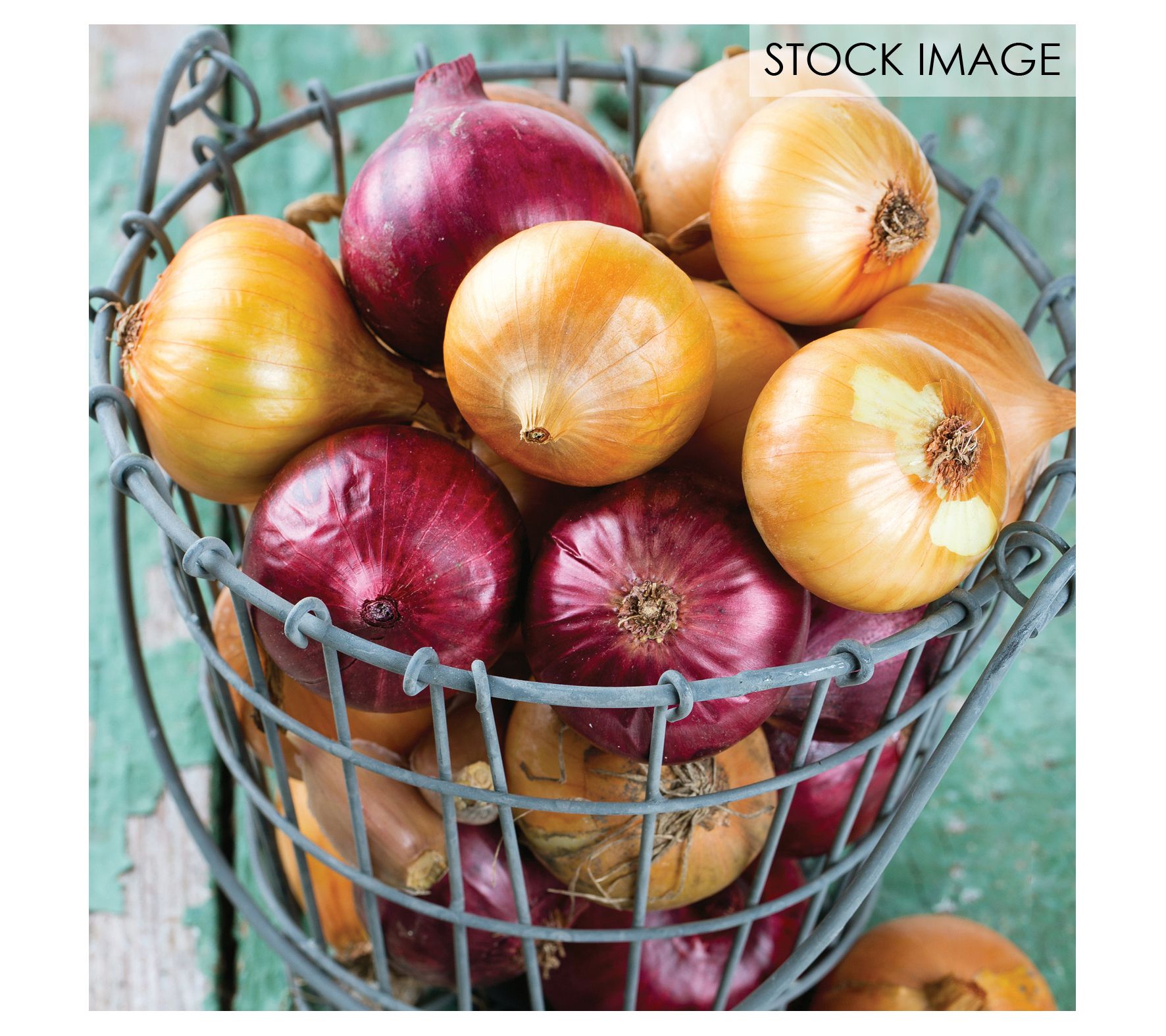 Van Zyverden Onion Sets Yellow Set of 250 Bulbs - QVC.com
