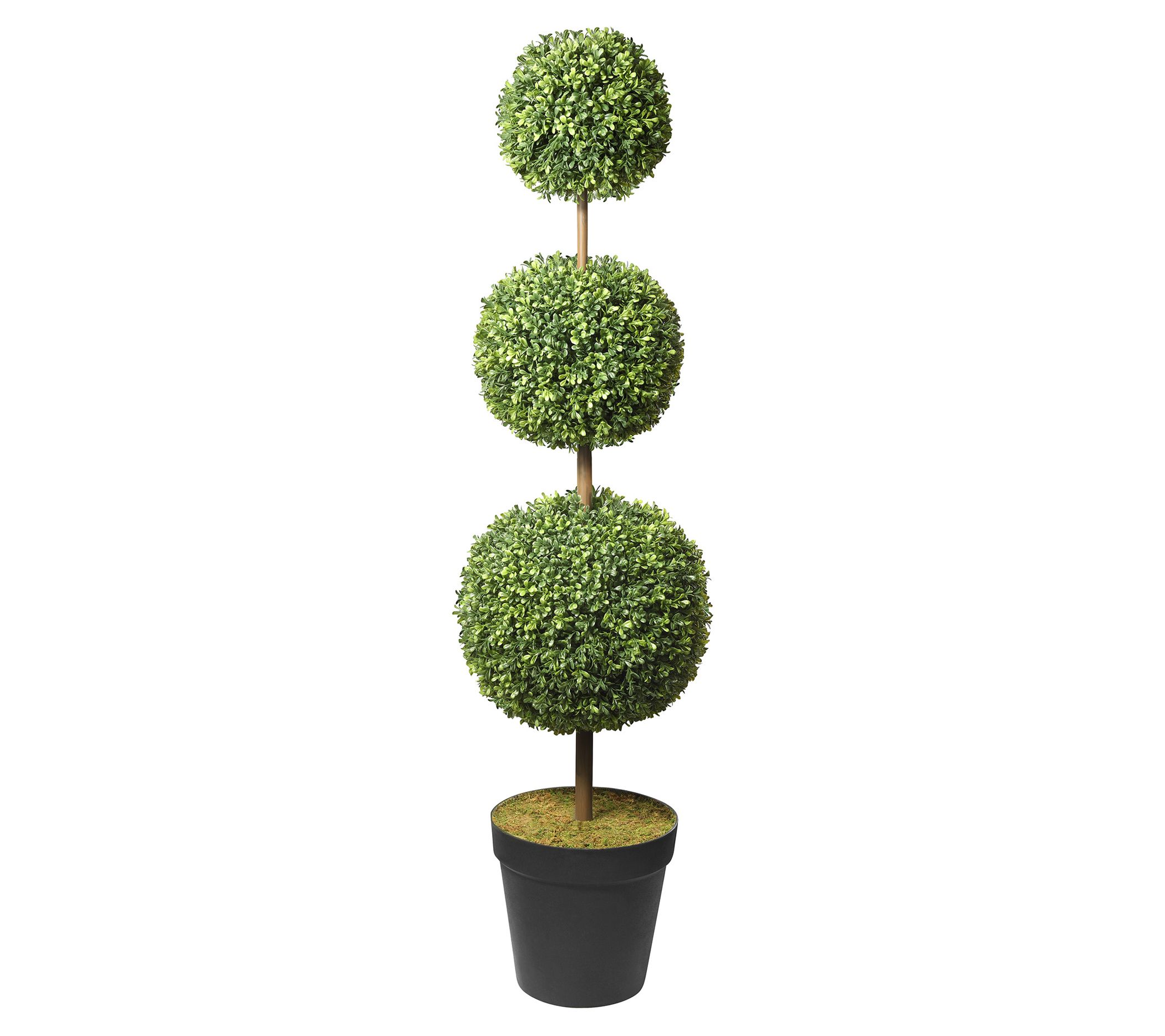 Haute Decor Triple Ball Boxwood Topiary Adjustable to 64" - QVC.com