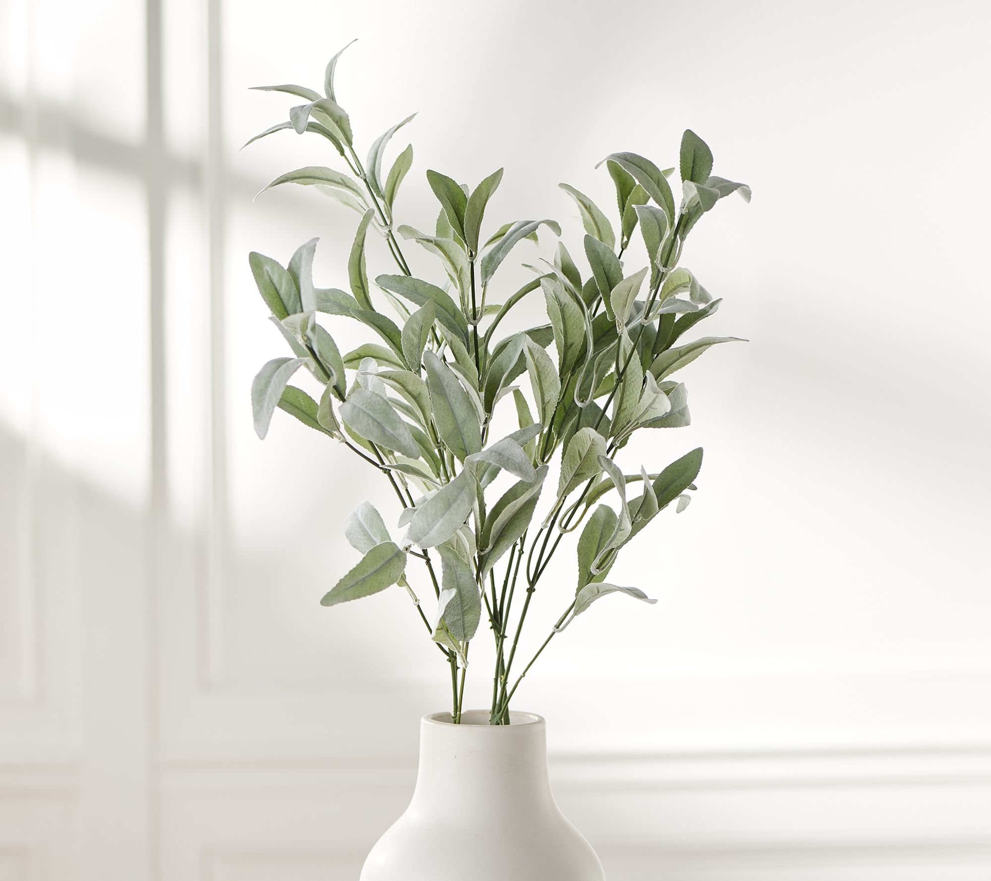"As Is" Set of 3 38" Eucalyptus Stems by Lauren McBride - QVC.com