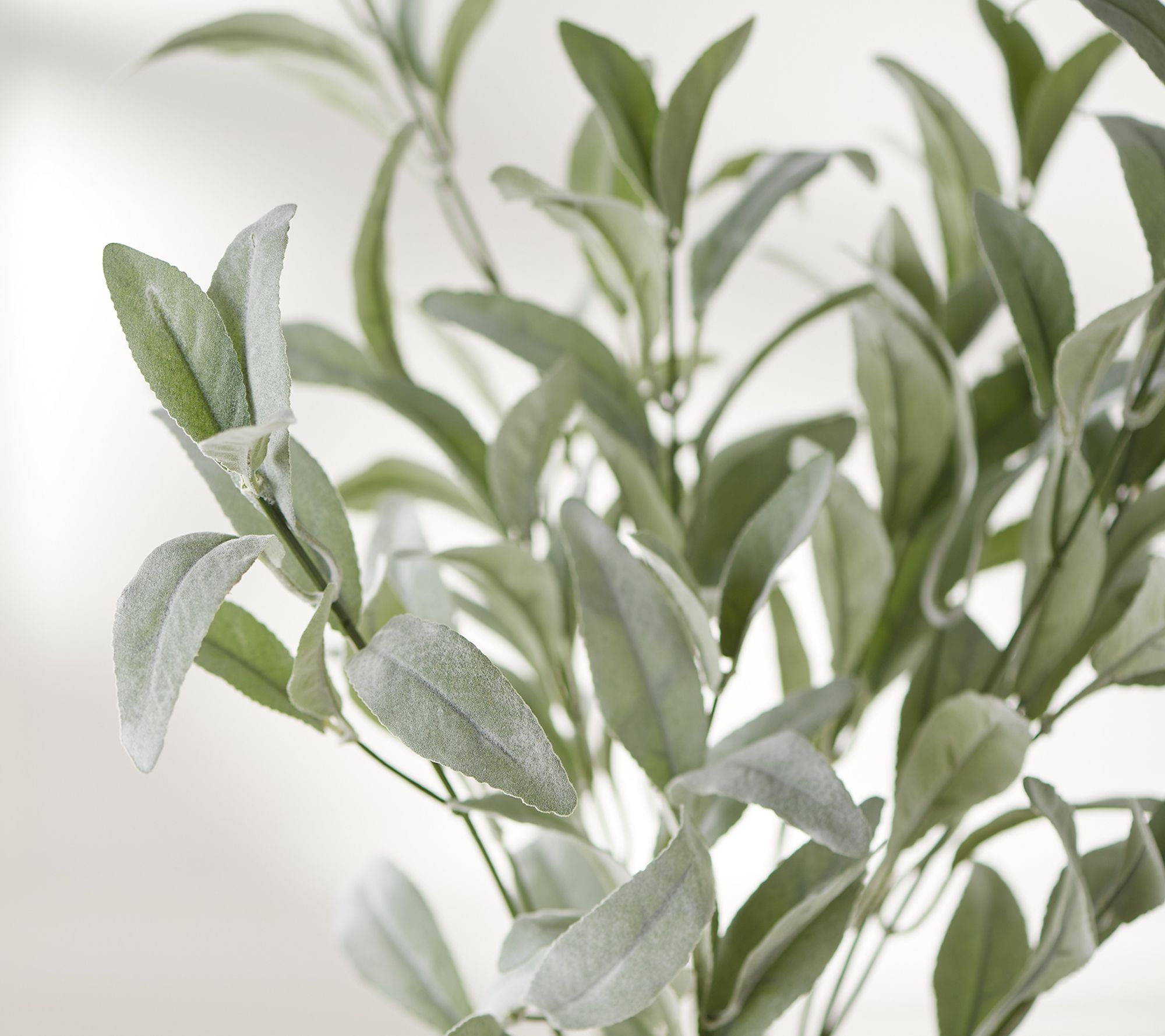"As Is" Set of 3 38" Eucalyptus Stems by Lauren McBride - QVC.com