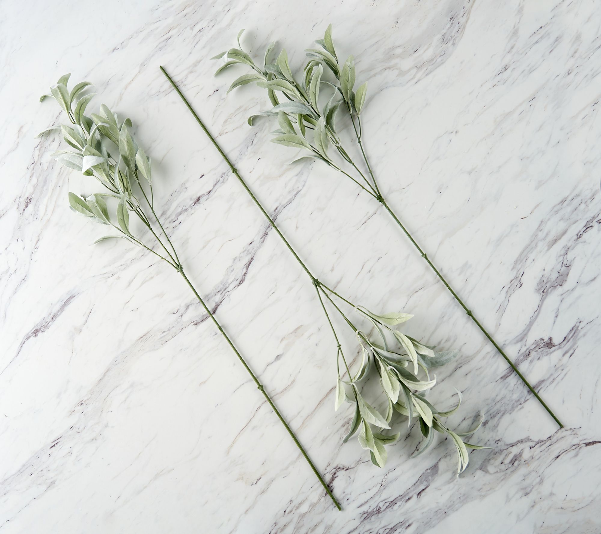 "As Is" Set of 3 38" Eucalyptus Stems by Lauren McBride - QVC.com
