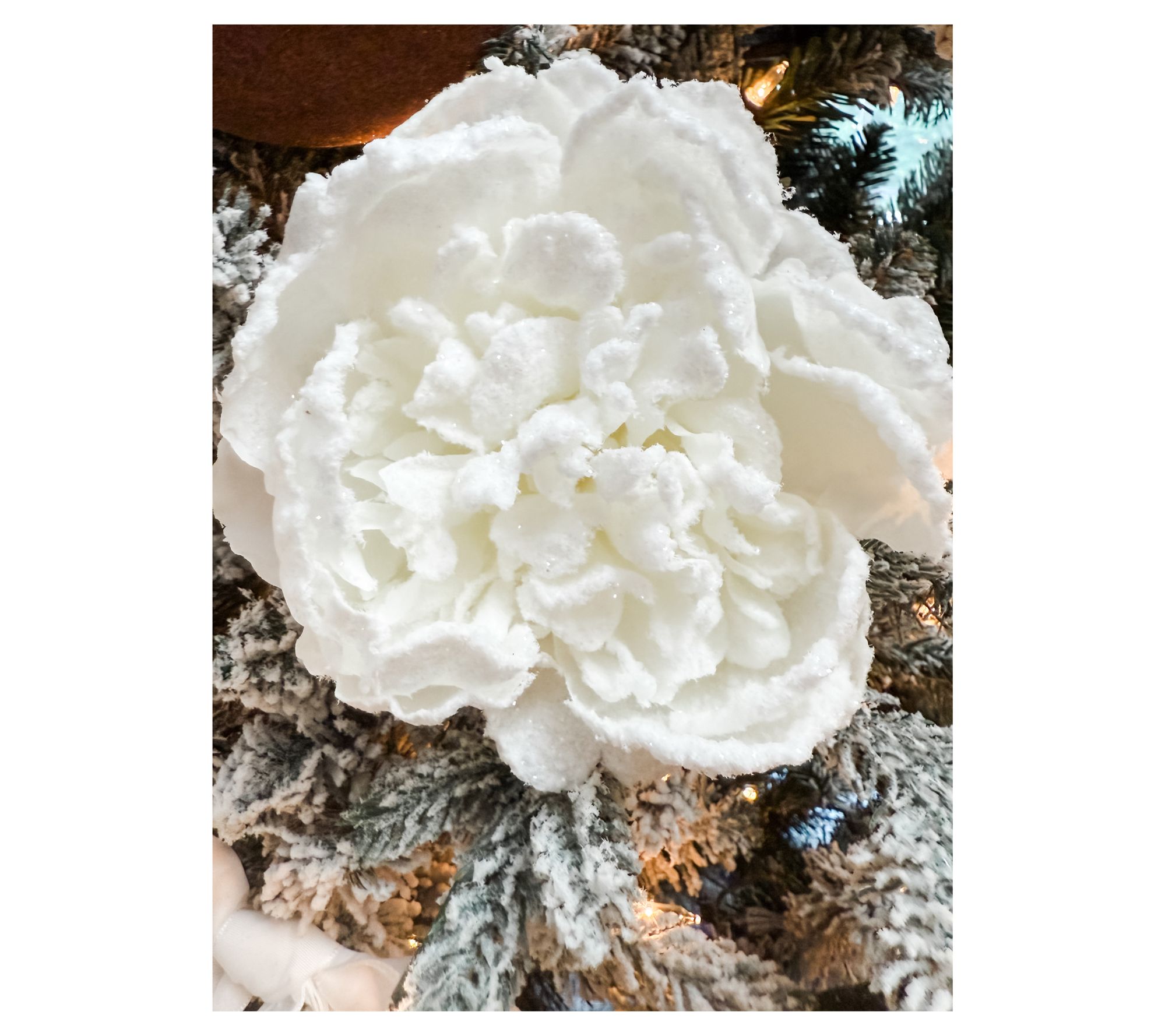Simply Stunning Set of 5 Snowy Peony Picks by Janine Graff - QVC.com
