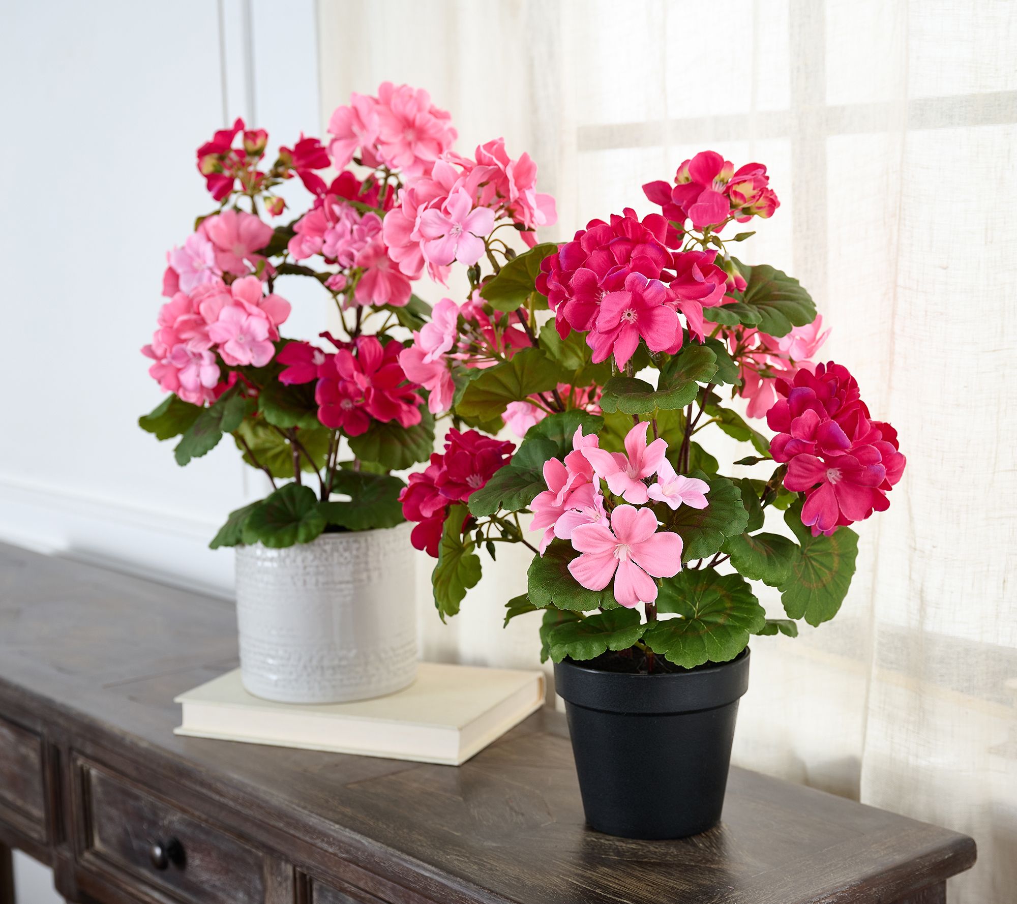 Set of 2 18" Geranium Potted Plants by Valerie - QVC.com