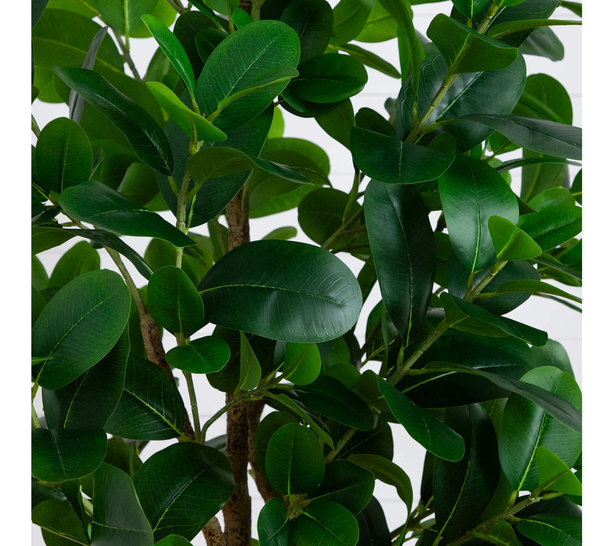 Nearly Natural 7' Artificial Audrey Ficus Tree - QVC.com