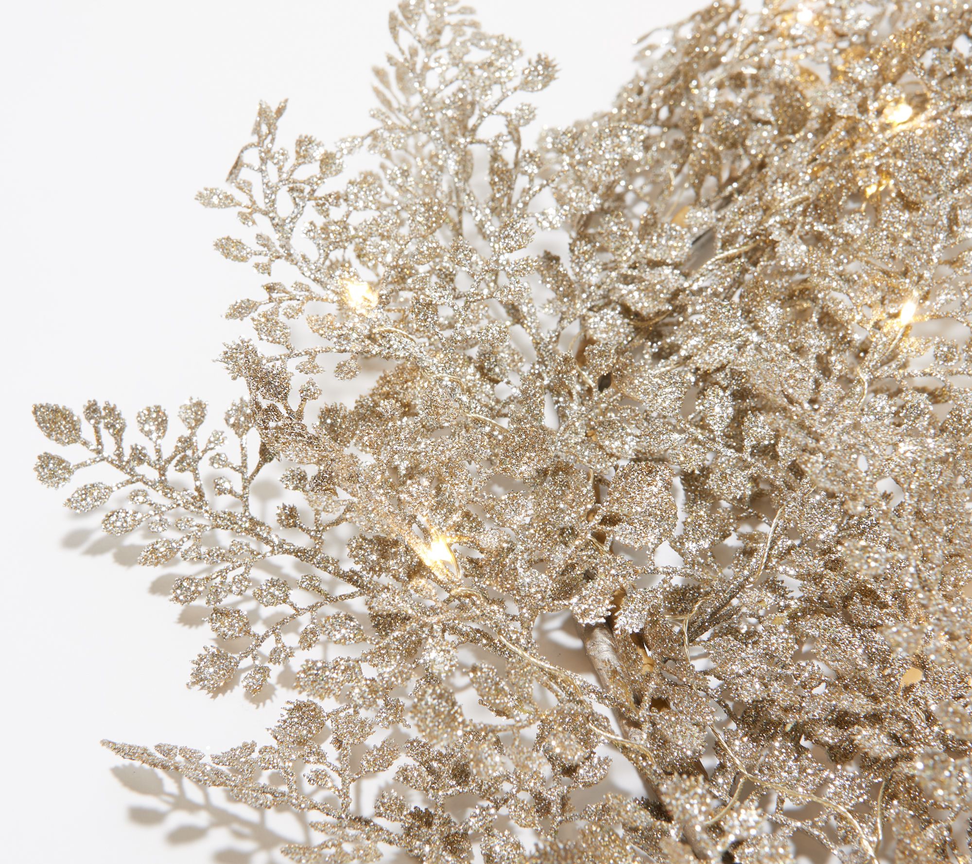 "As Is" Martha Stewart 24" Lit Glittered Fern Wreath - QVC.com