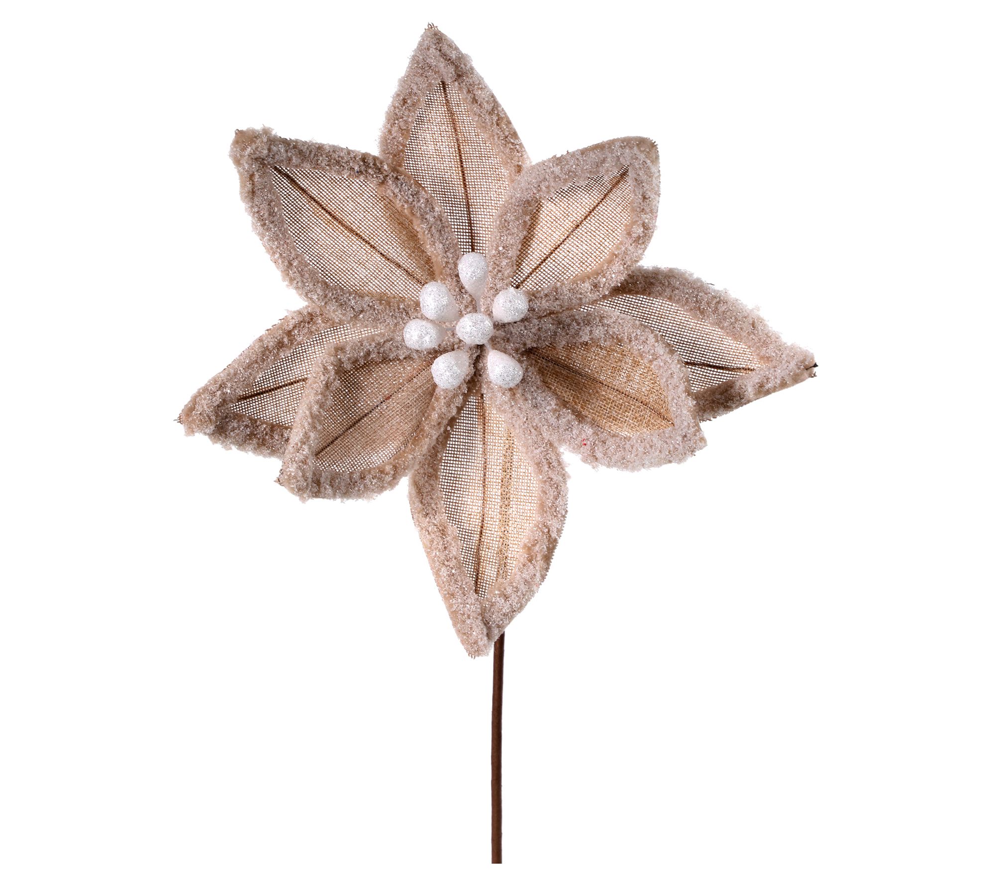 Valerie Parr Hi ll 20" Burlap Faux Fur Edge P oinsettia Stem - QVC.com