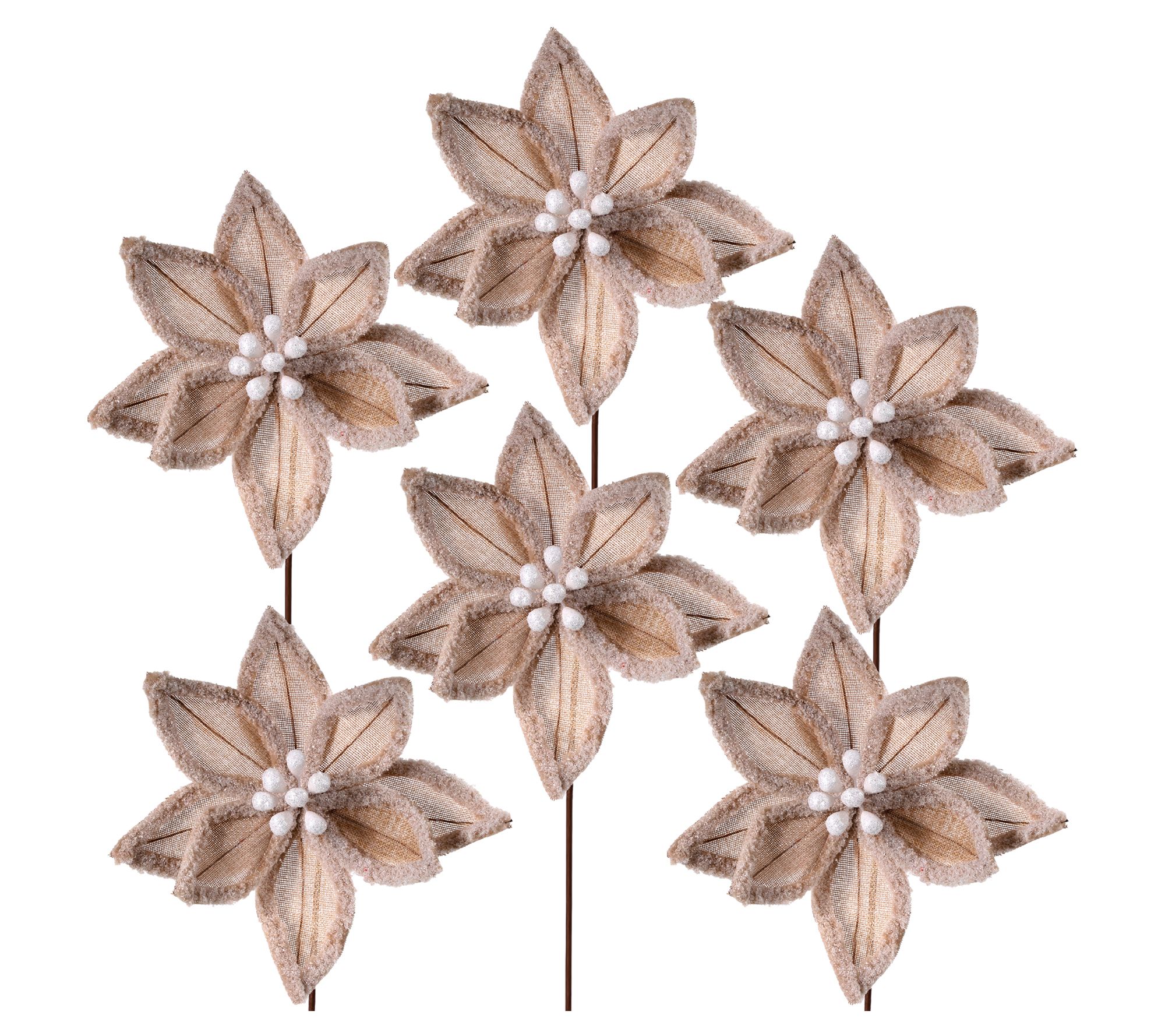 Valerie Parr Hi ll 20" Burlap Faux Fur Edge P oinsettia Stem - QVC.com