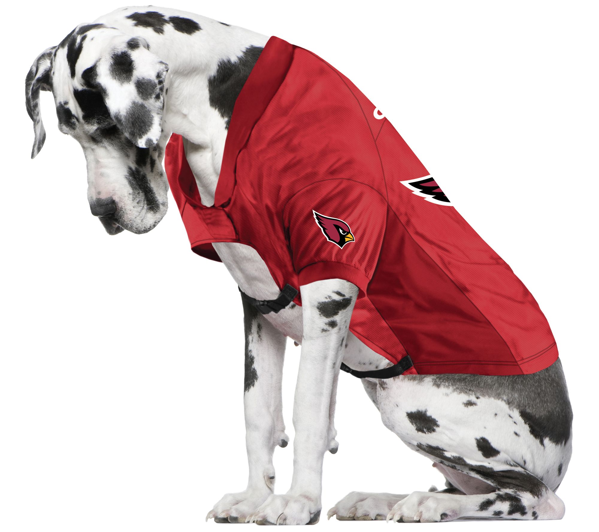 Littlearth NFL Big Pet Stretch Jersey - QVC.com