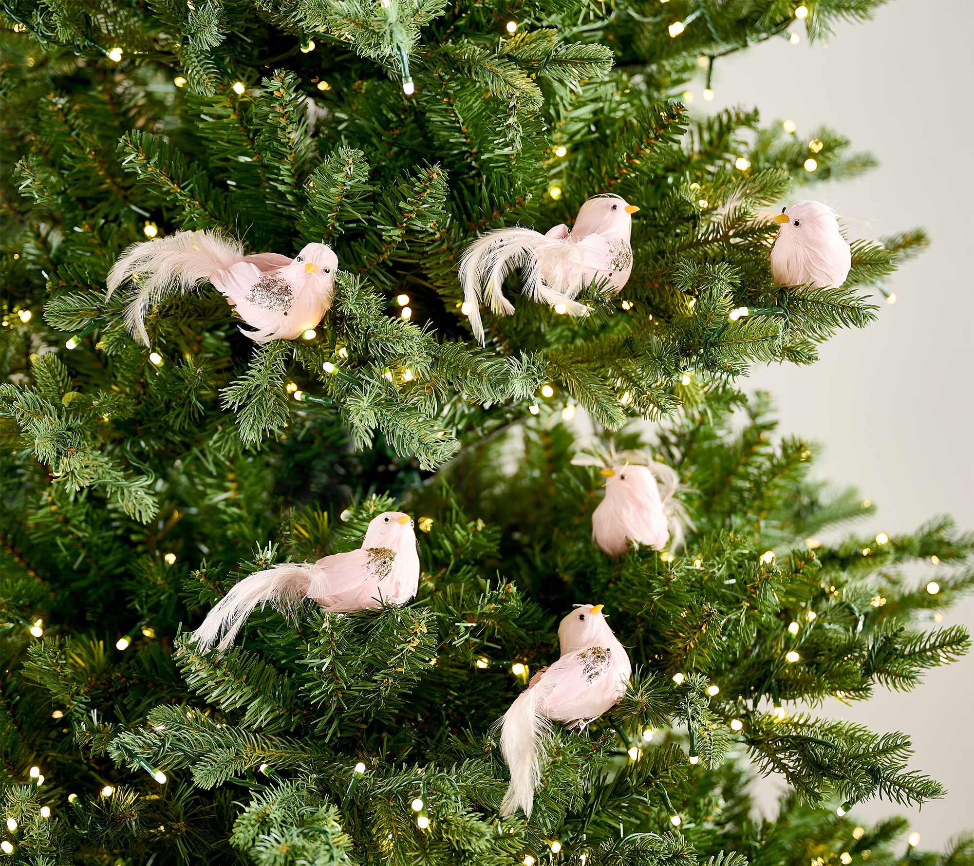 "As Is" Set of 6 Bird Clips with Feather Tail by Valerie - QVC.com