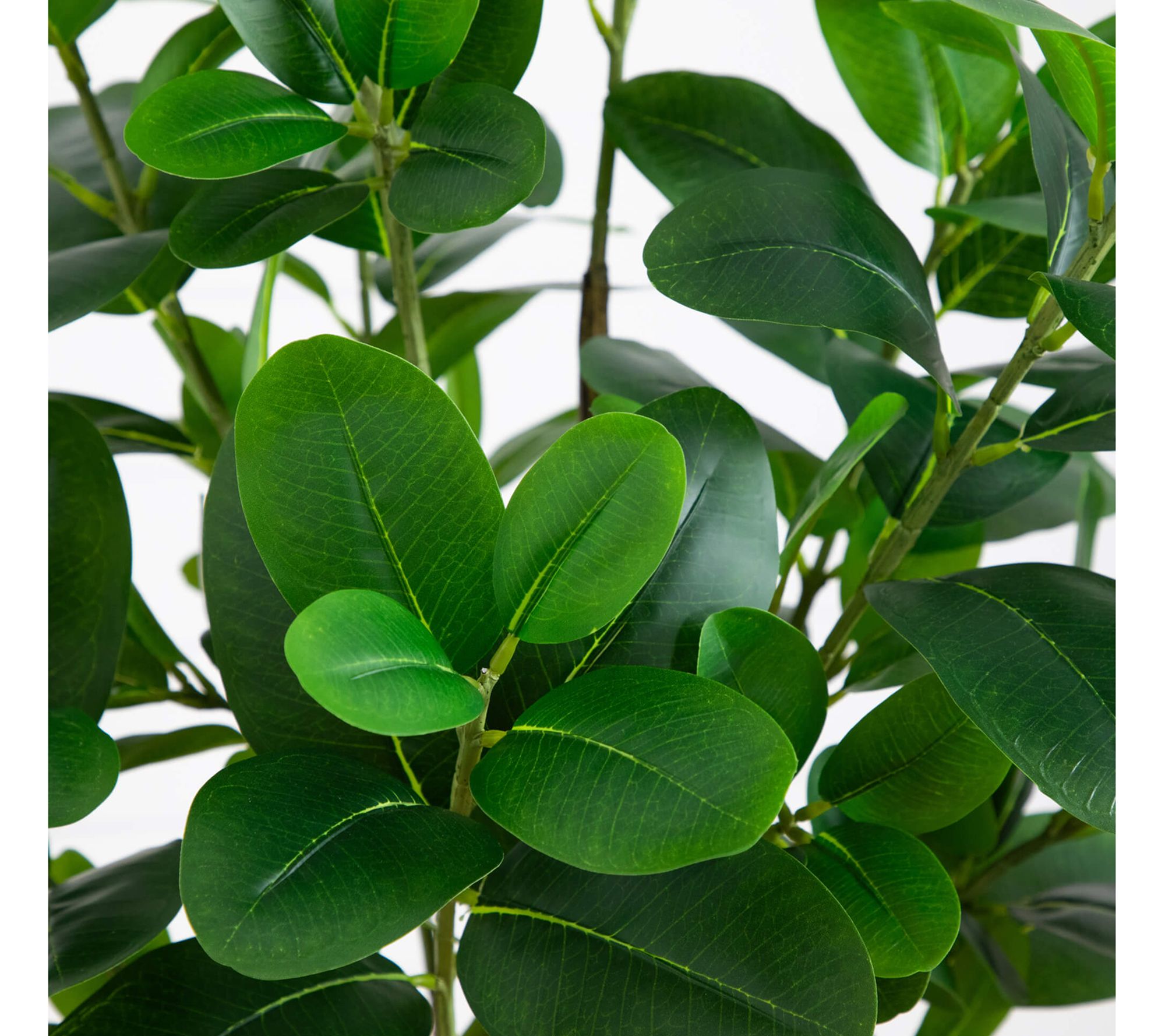 Nearly Natural 5' Artificial Audrey Ficus Tree - QVC.com