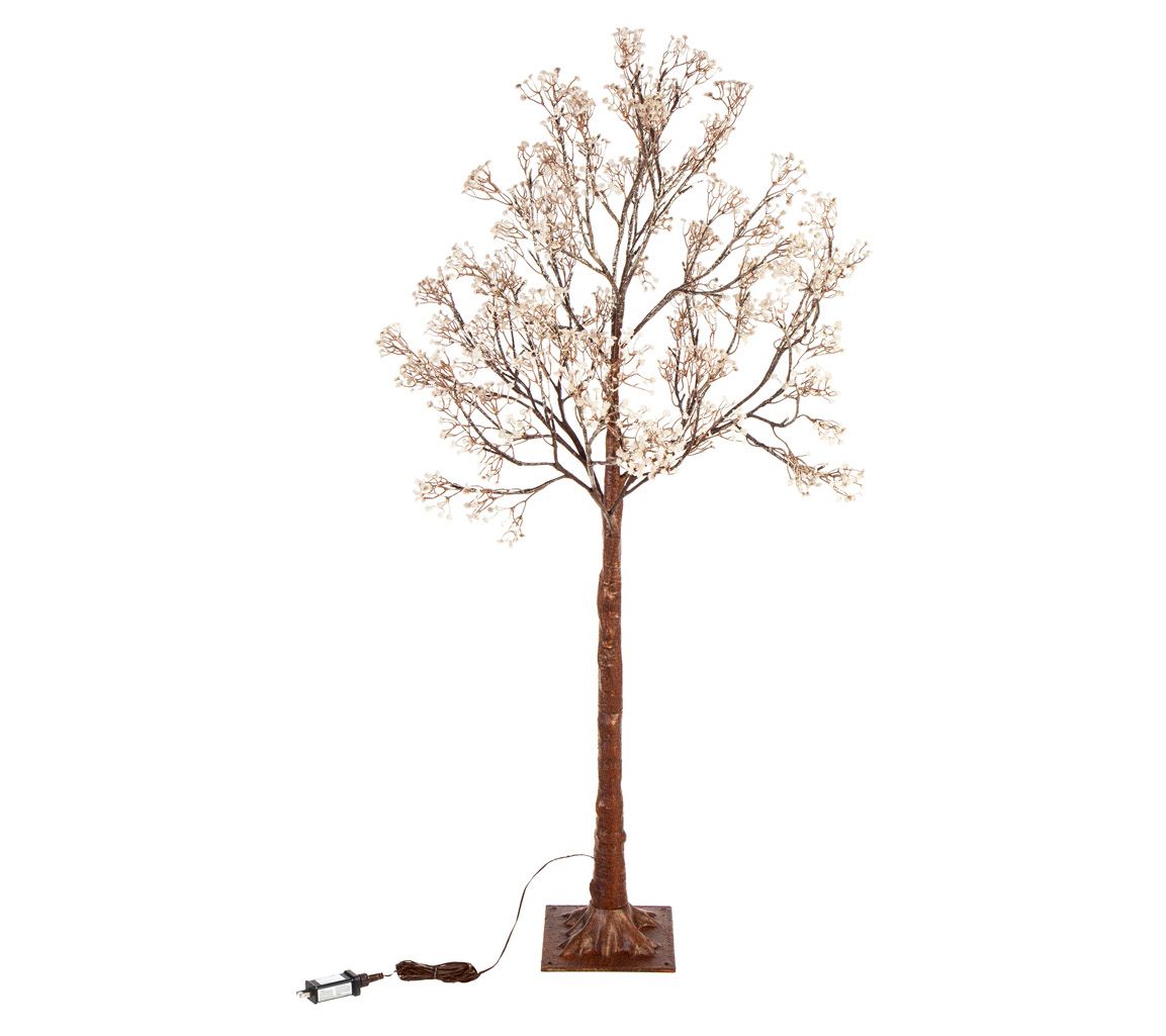 Evergreen I/O Electric Lighted Faux Gypsophila Twig Tree, 4'H - QVC.com