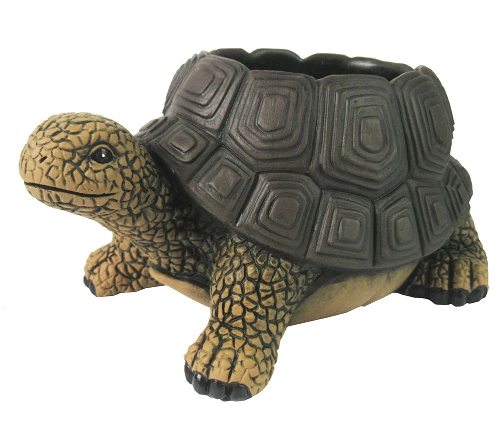 Santa's Workshop 9.3" Cement Turtle Planter - QVC.com