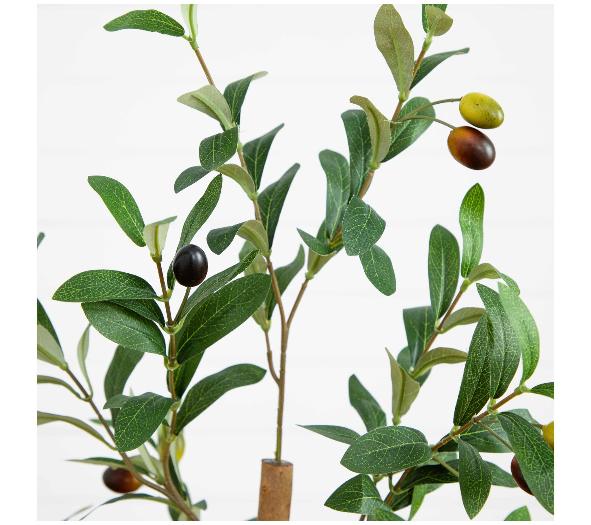 Nearly Natural 4' Artificial Olive Tree with Natural Trunk - QVC.com