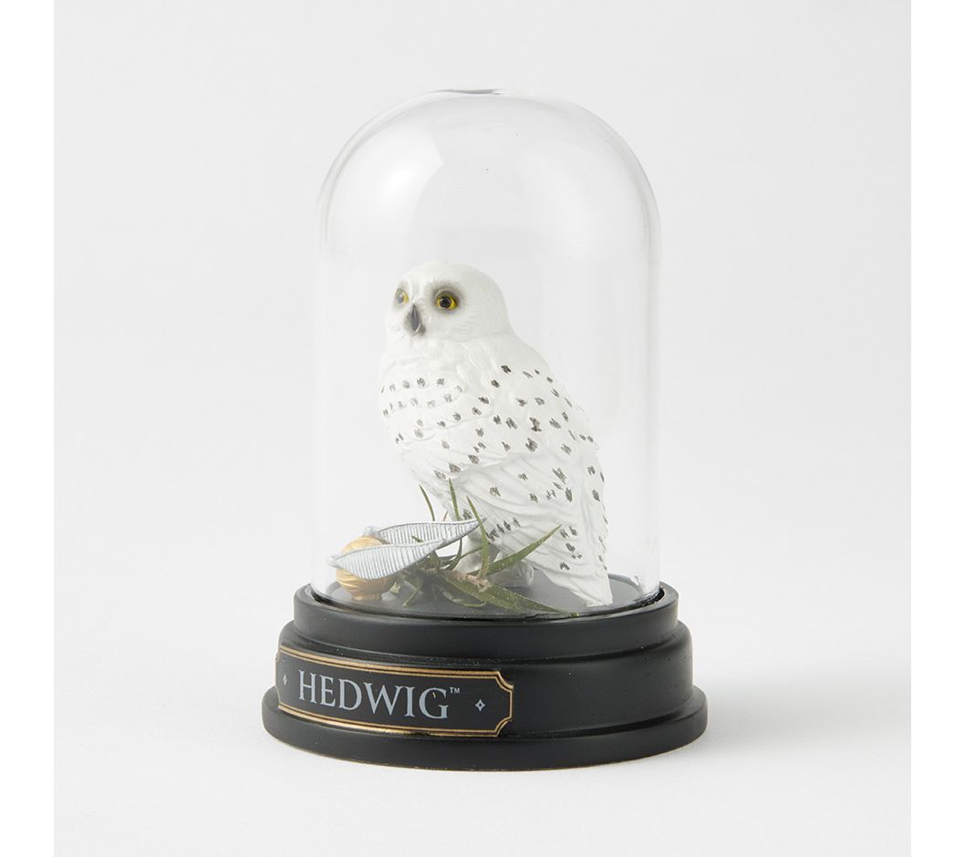 Wizarding World of Harry Potter Hedwig Curiosity Cloche Fig - QVC.com