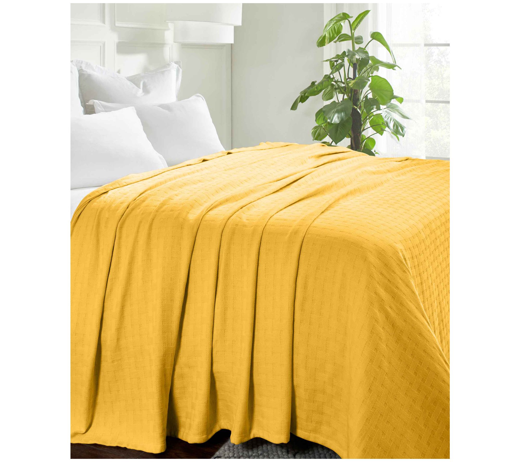 Superior Cotton All-Season Plush Twin Blanket - QVC.com