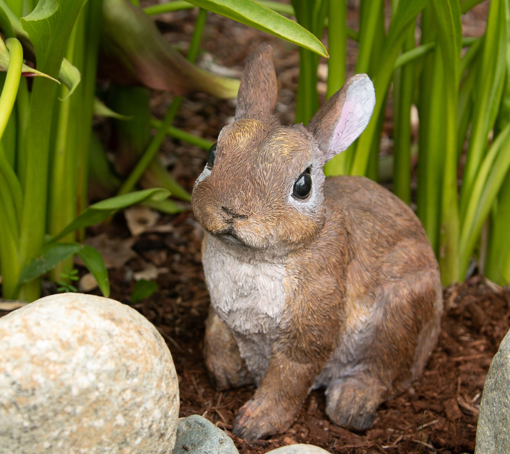 Zingz & Thingz Garden Sitting Rabbit Figurine - QVC.com