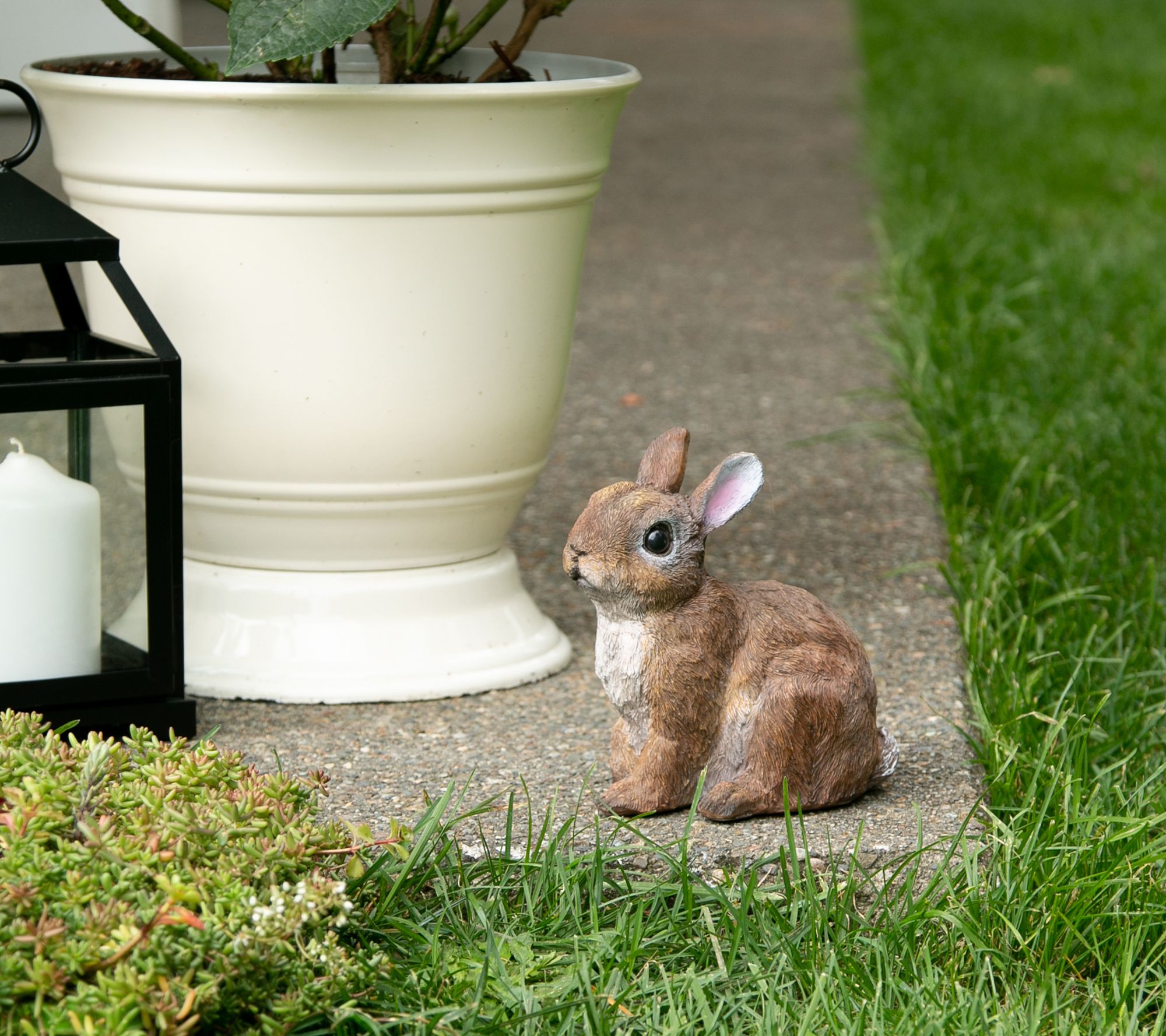 Zingz & Thingz Garden Sitting Rabbit Figurine - QVC.com