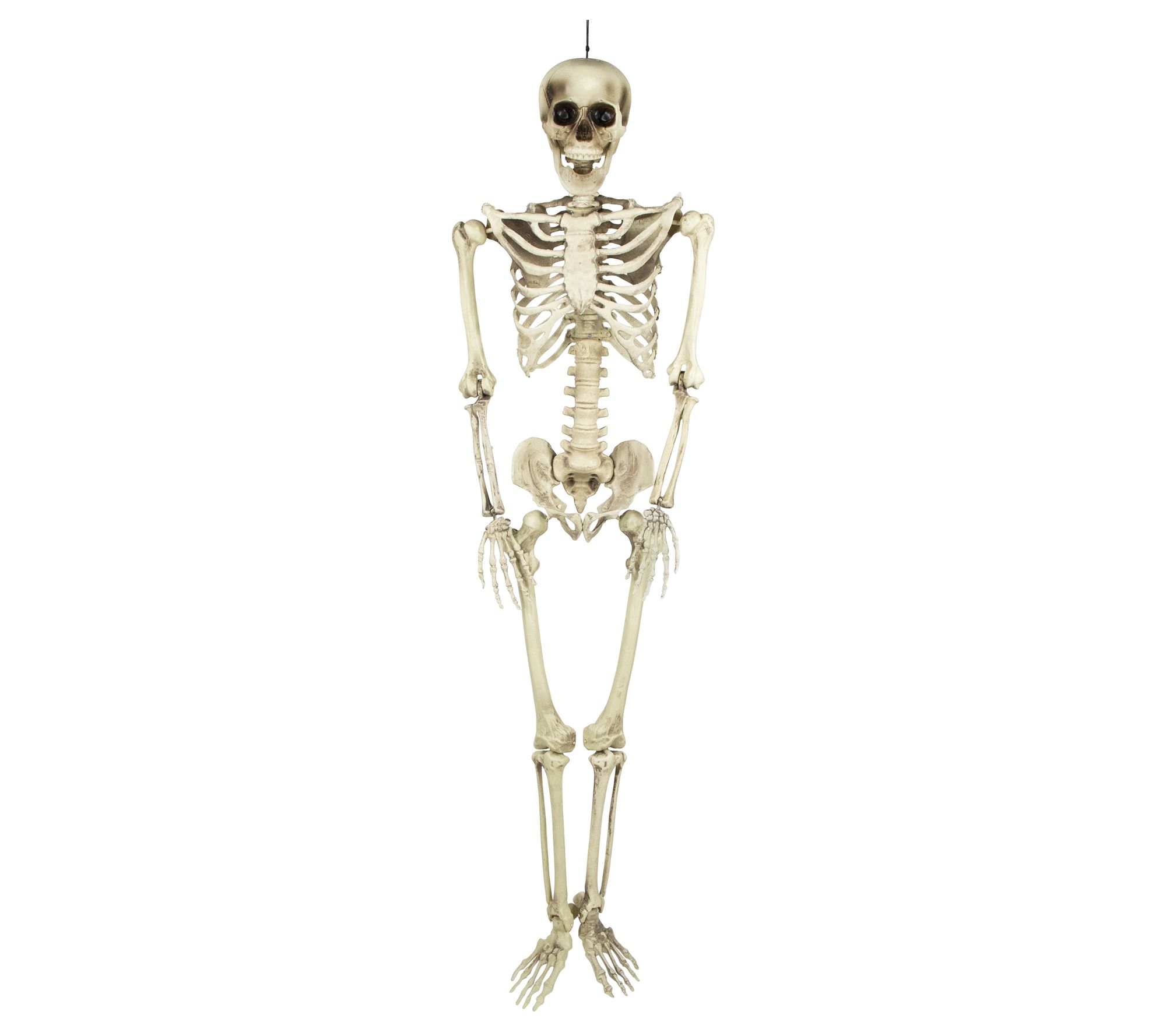 Northlight Life Size Skeleton Hanging HalloweenDecor 5' - QVC.com