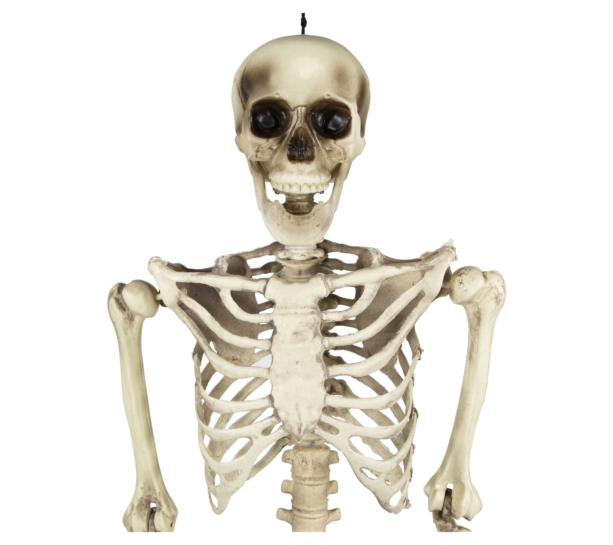 Northlight Life Size Skeleton Hanging HalloweenDecor 5' - QVC.com