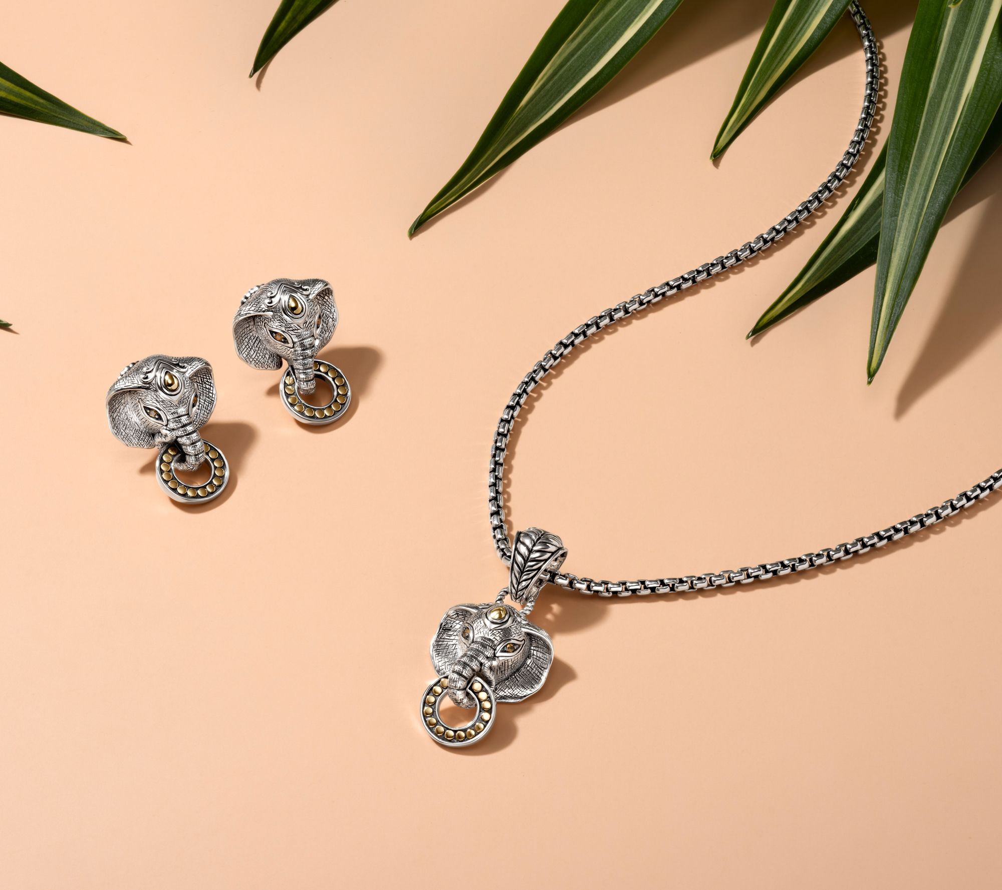 JAI 14K & Sterling Figurative Stud Earrings or Enhancer - QVC.com