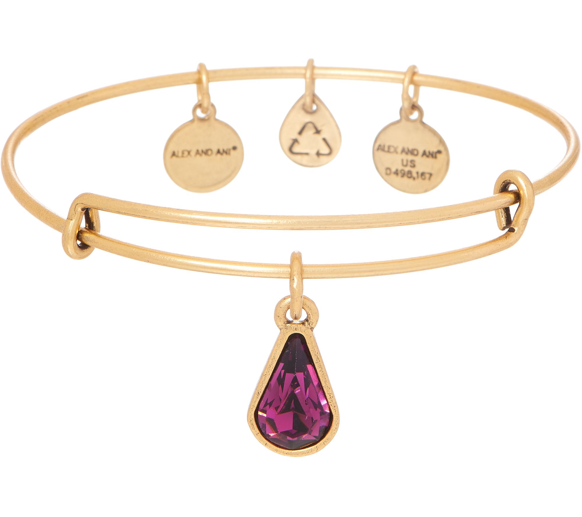 Alex and Ani Goldtone Crystal Charm Bangle - QVC.com