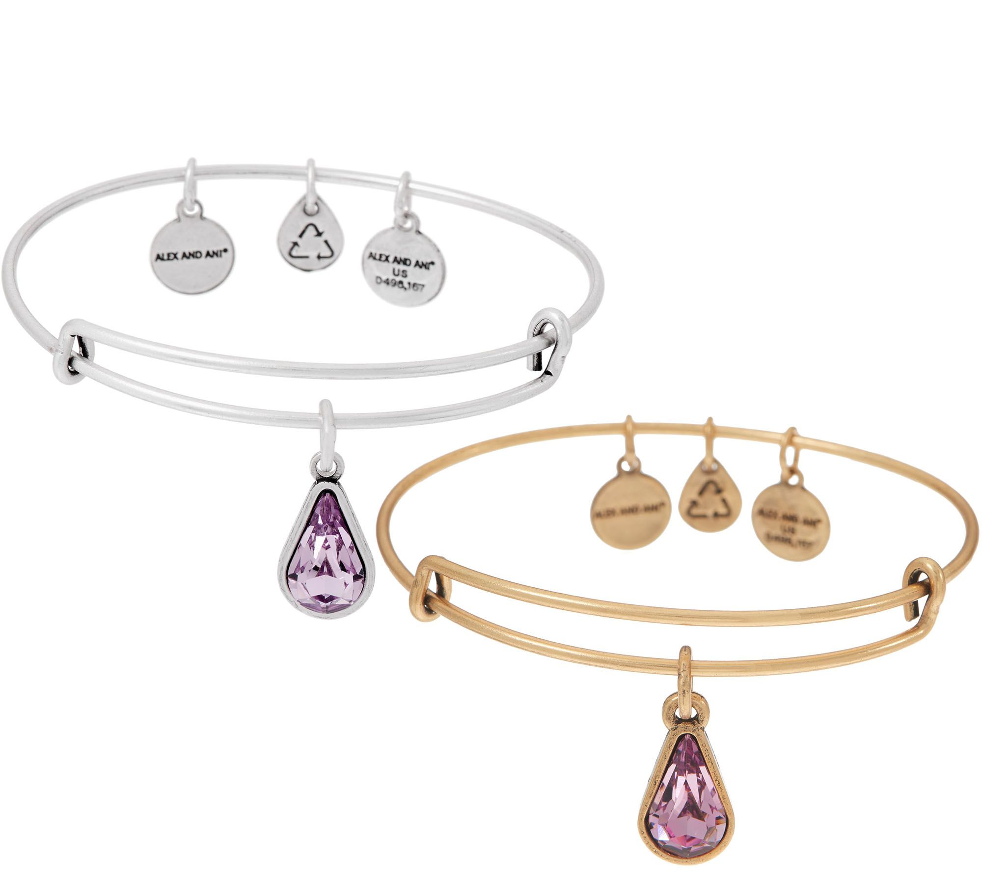 Alex and Ani Simulated Birthstone Crystal Charm Bangle - QVC.com