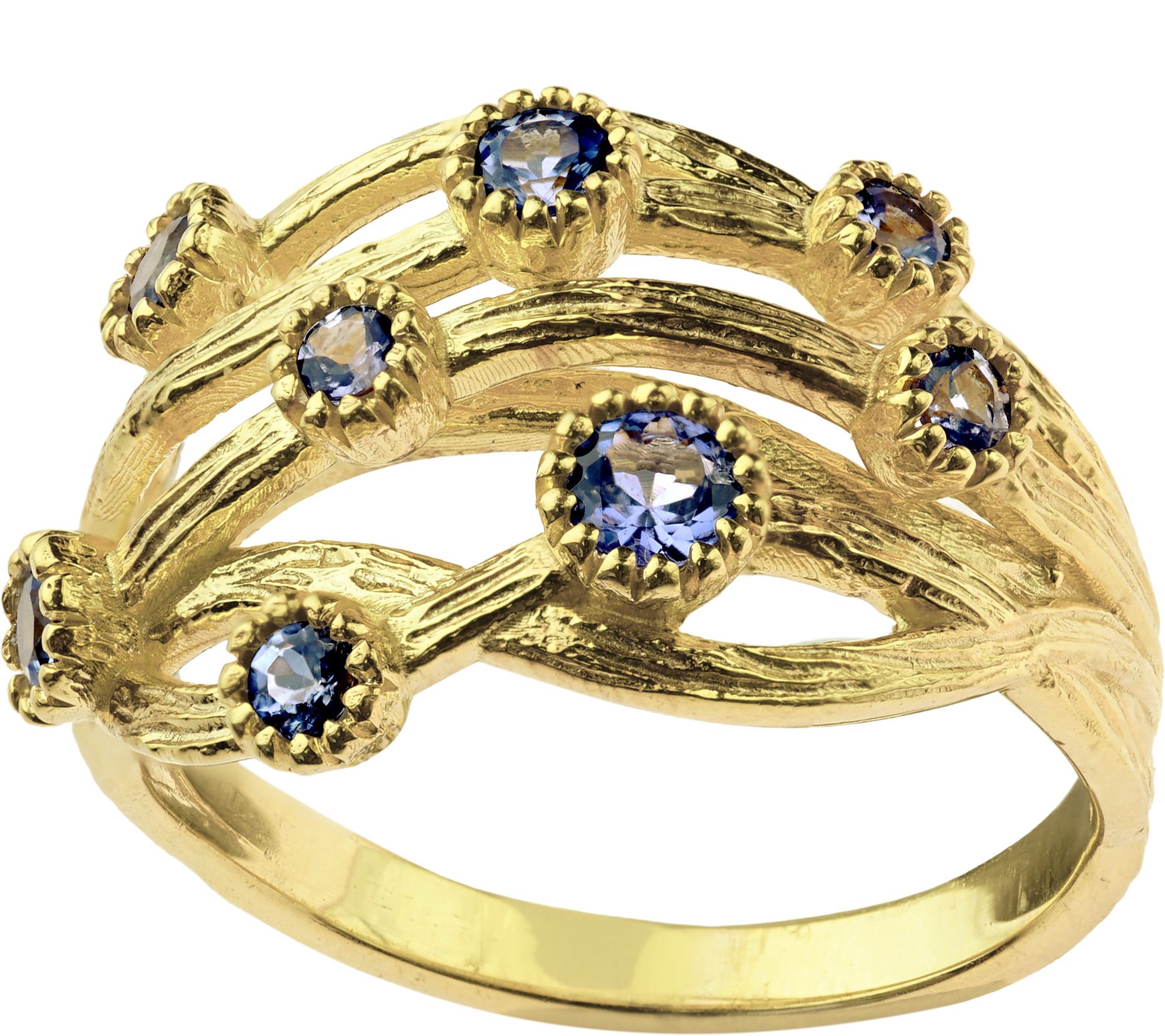 Adi Paz Tanzanite Multi-Gemstone Band Ring, 14KGold - QVC.com