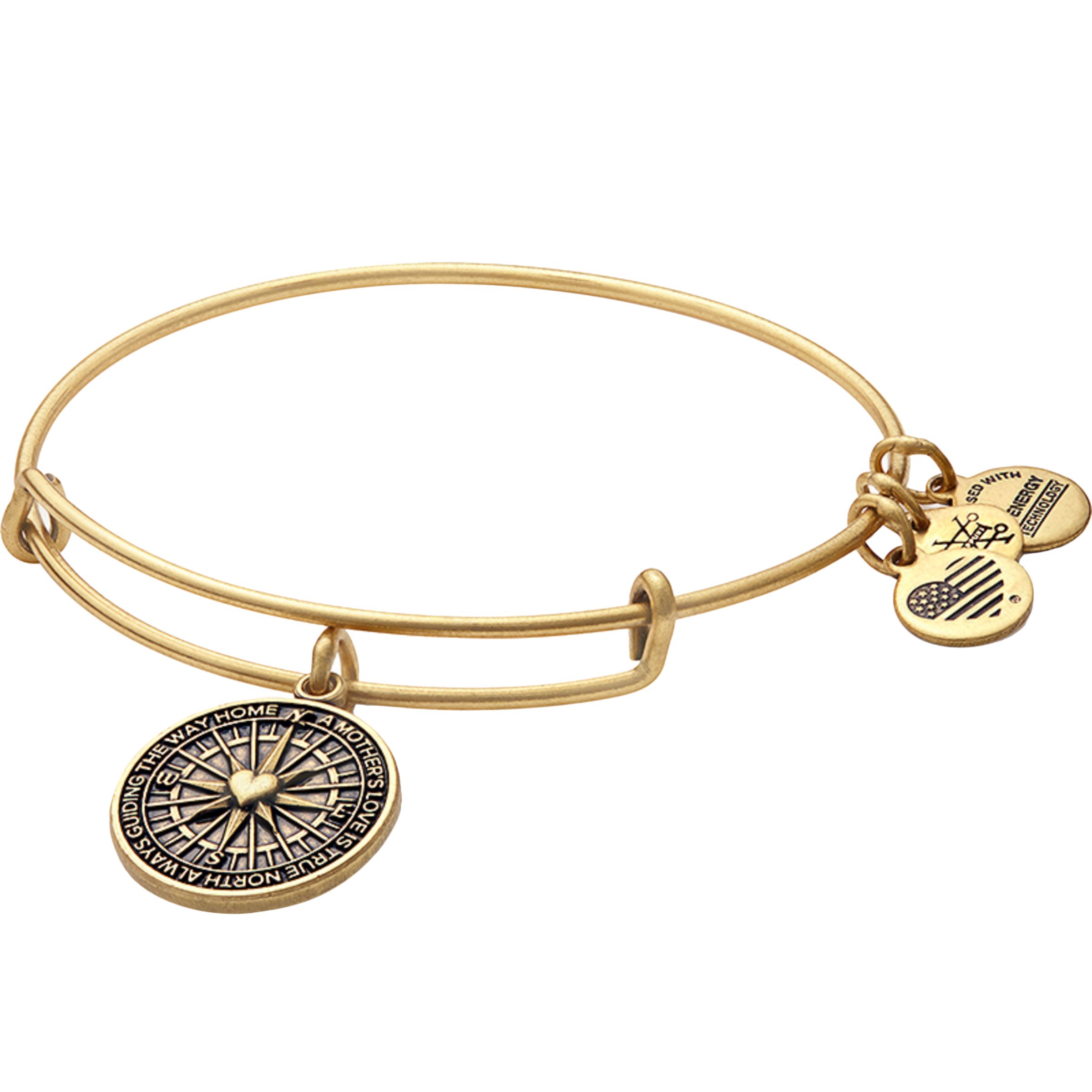 Alex and Ani True Direction Charm Bangle - QVC.com