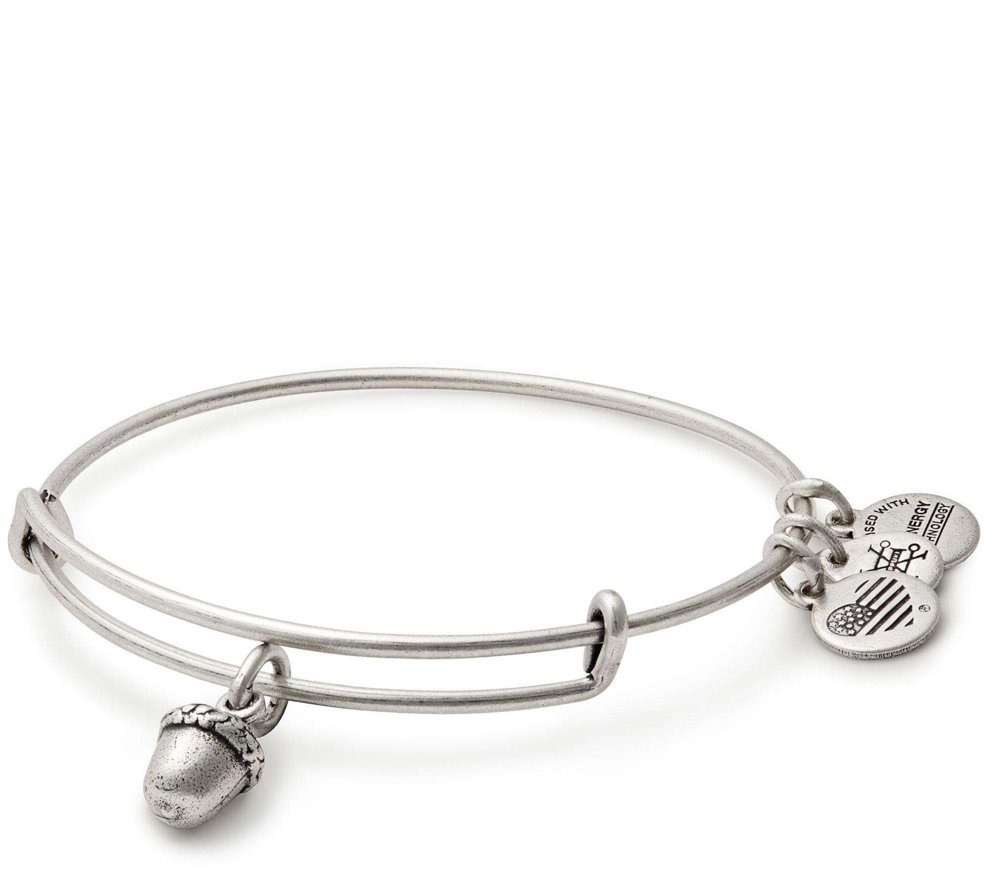 Alex and Ani Unexpected Blessings Charm Bangle - QVC.com