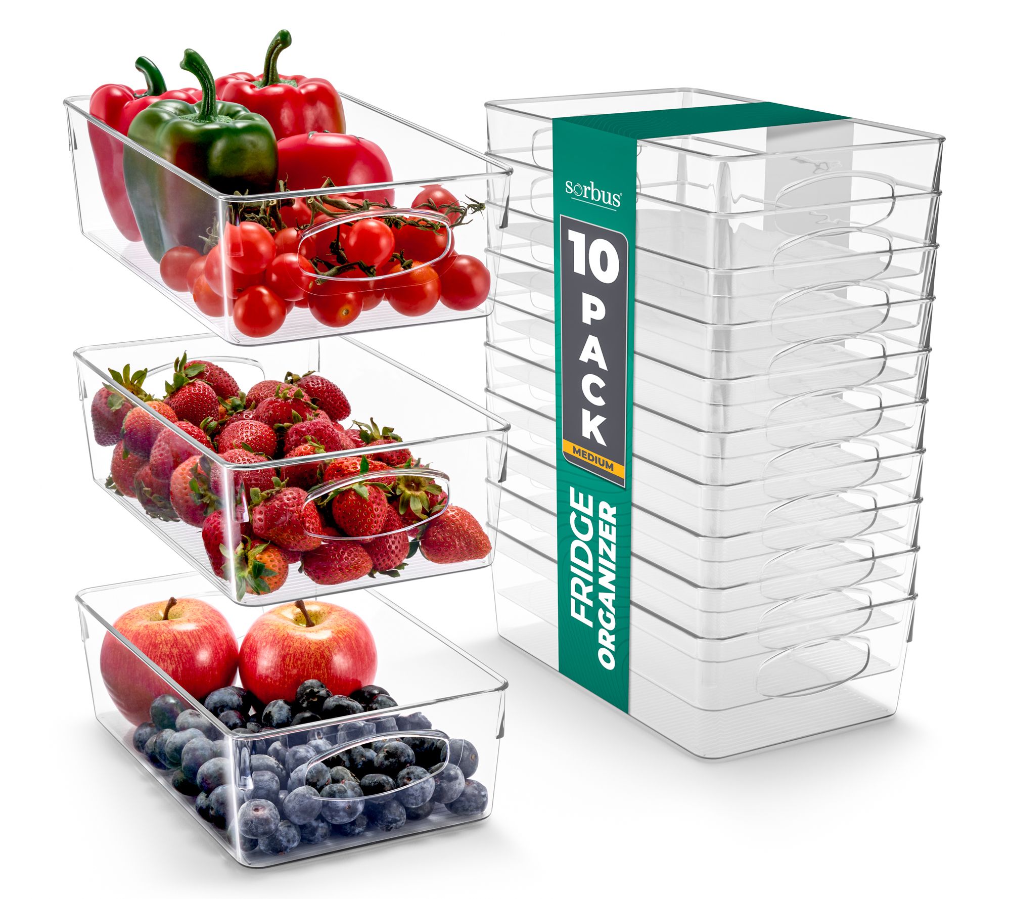 Sorbus 10-Pack Medium Clear Plastic Storage Bins - QVC.com