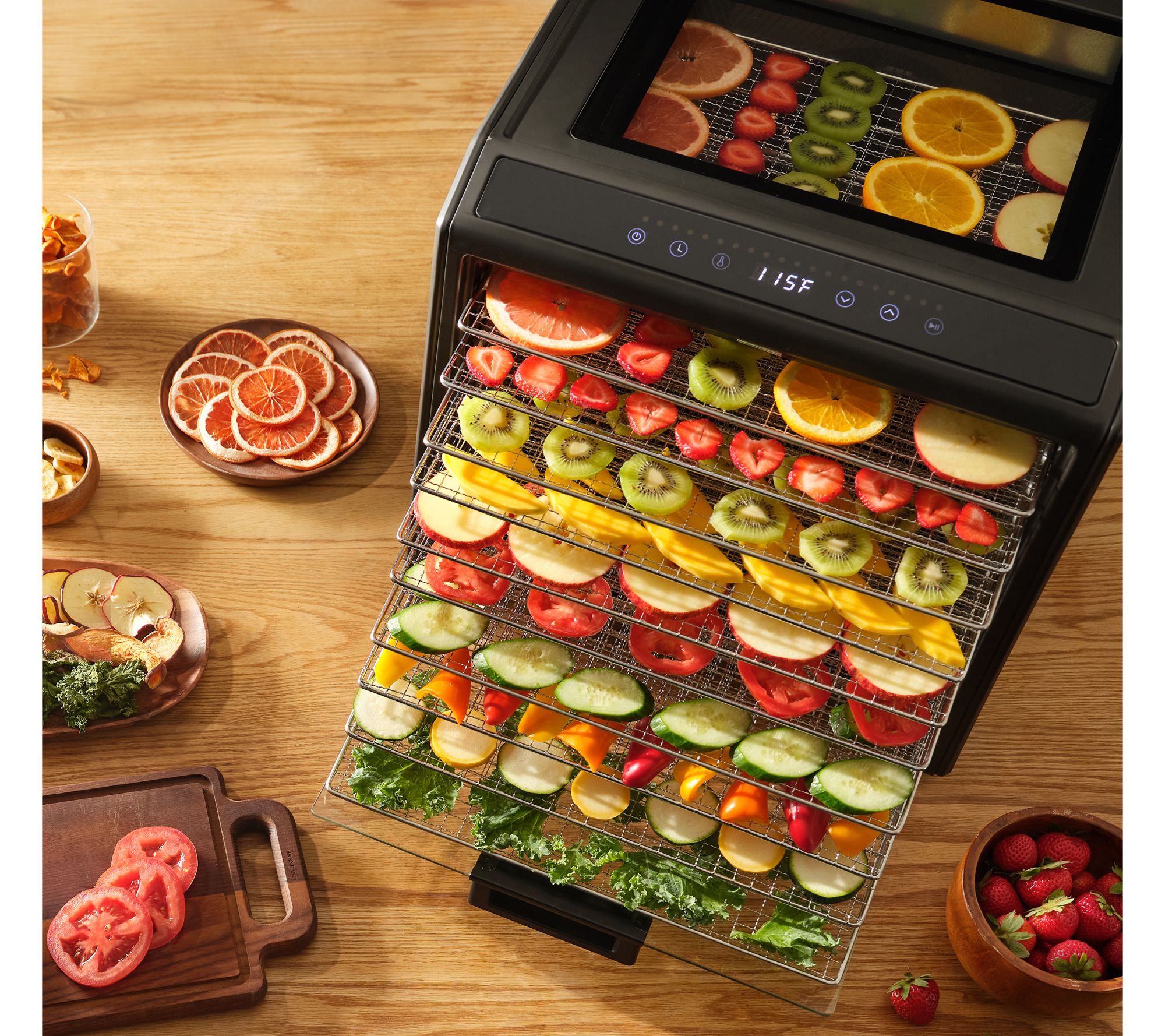 Excalibur 10-Tray Performance Series Digital Dehydrator - QVC.com